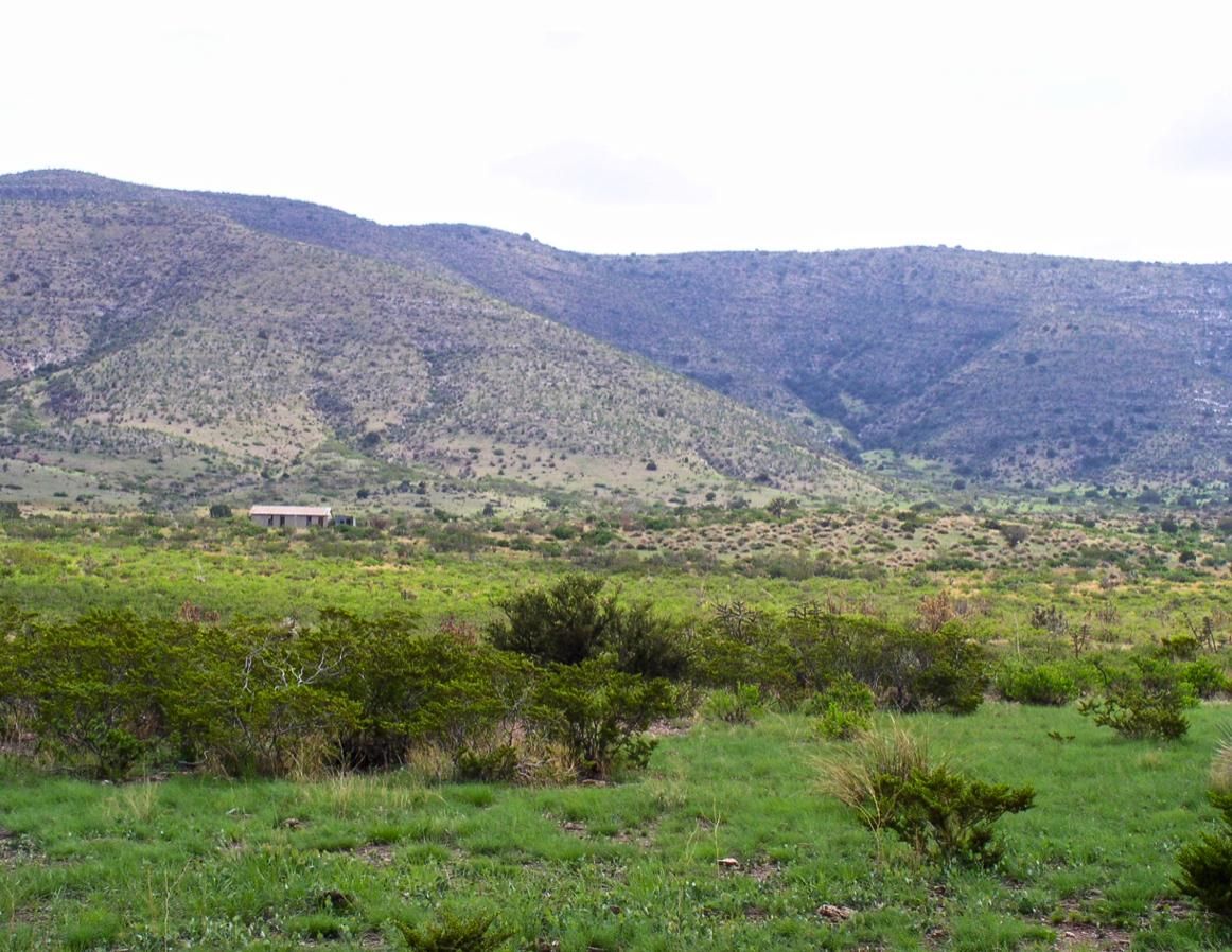 Engle, Truth Or Consequences, NM 87901 | Land.com