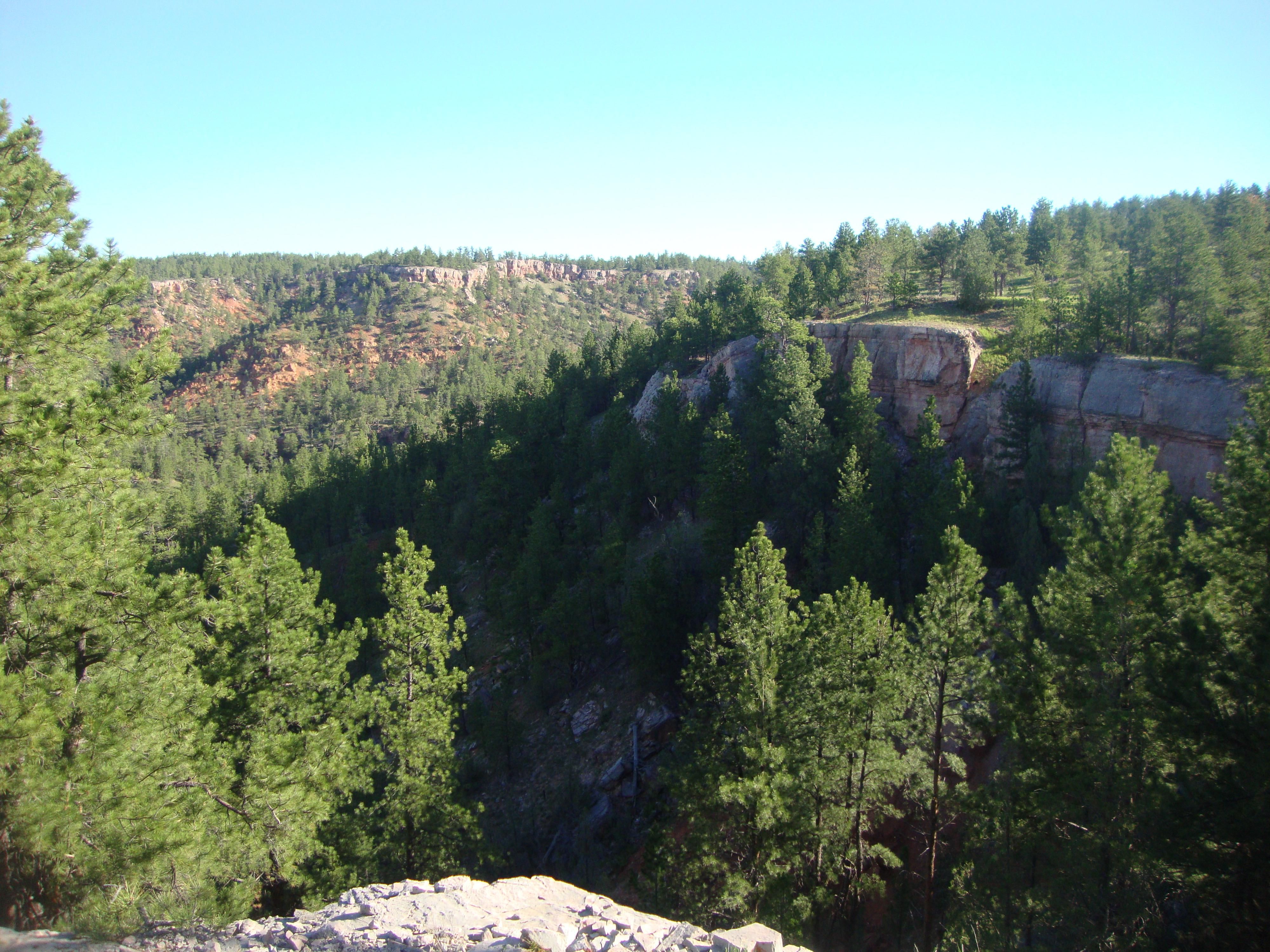 TBD Red Canyon Road, Custer, SD 57730 | MLS: 59567 | Land.com