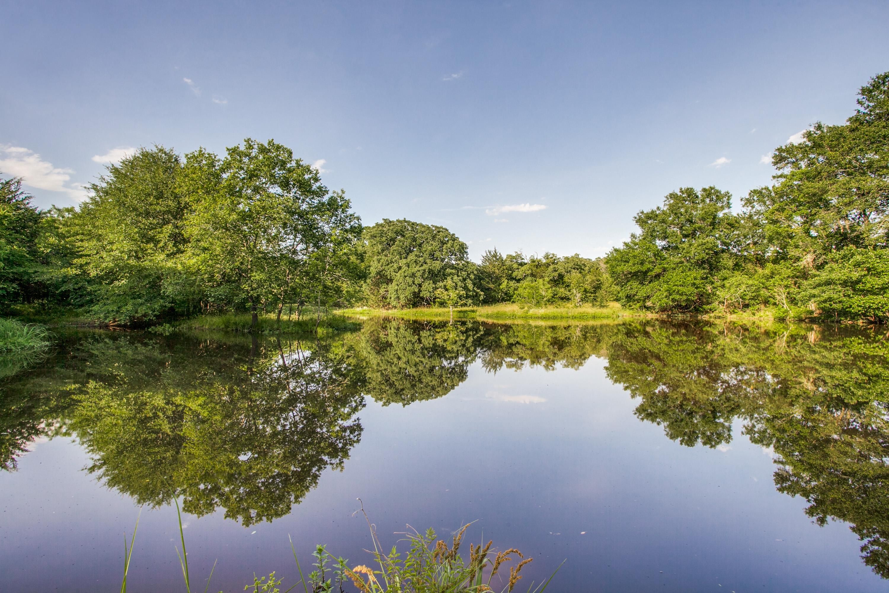 Farm to Market Road 1129, Chatfield, TX 75105 | Land.com