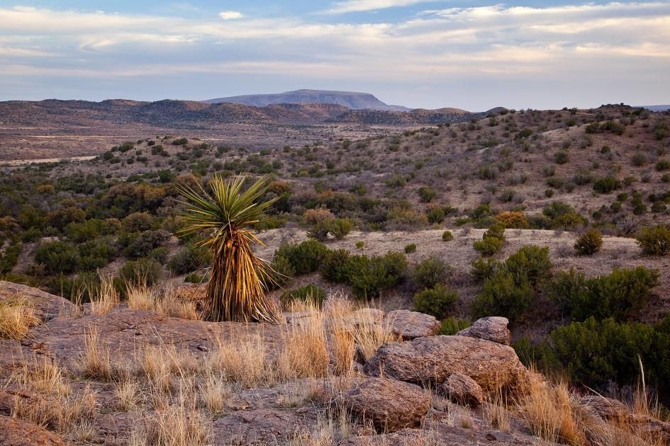 Hwy 118 South, Alpine, TX 79830 | MLS: Panther Rock Ranch | Land.com