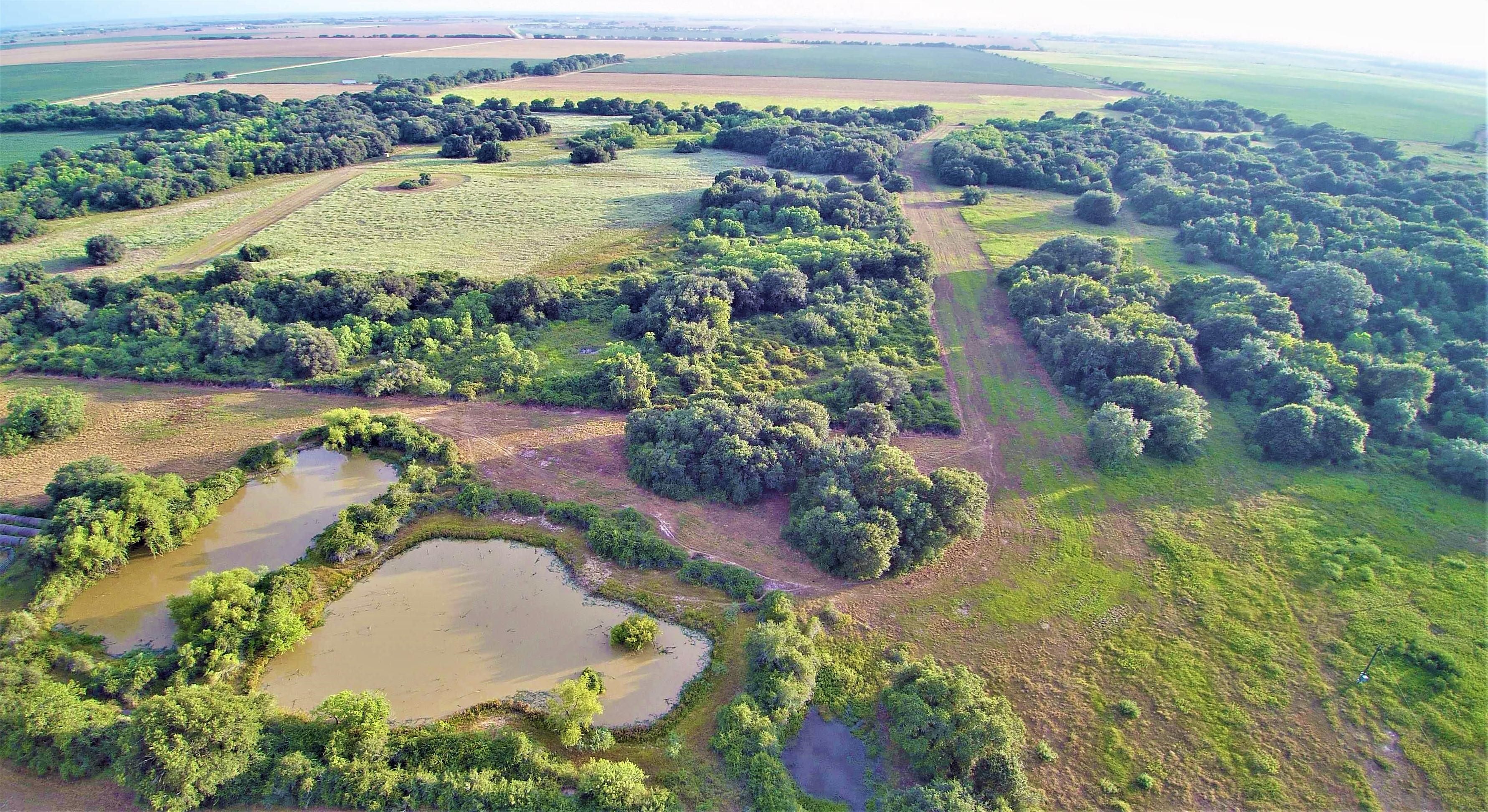 FM 647, Louise, TX 77455 | Land.com