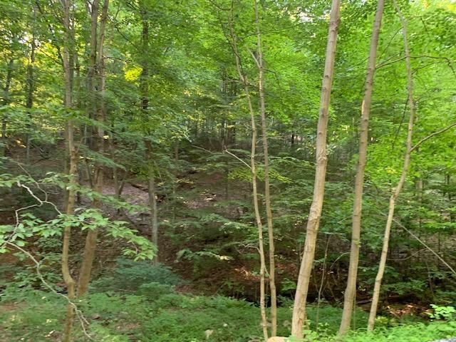 1009 B Six Mile Run Road, Defiance, PA 16679 | MLS: PABD101800 | Land.com