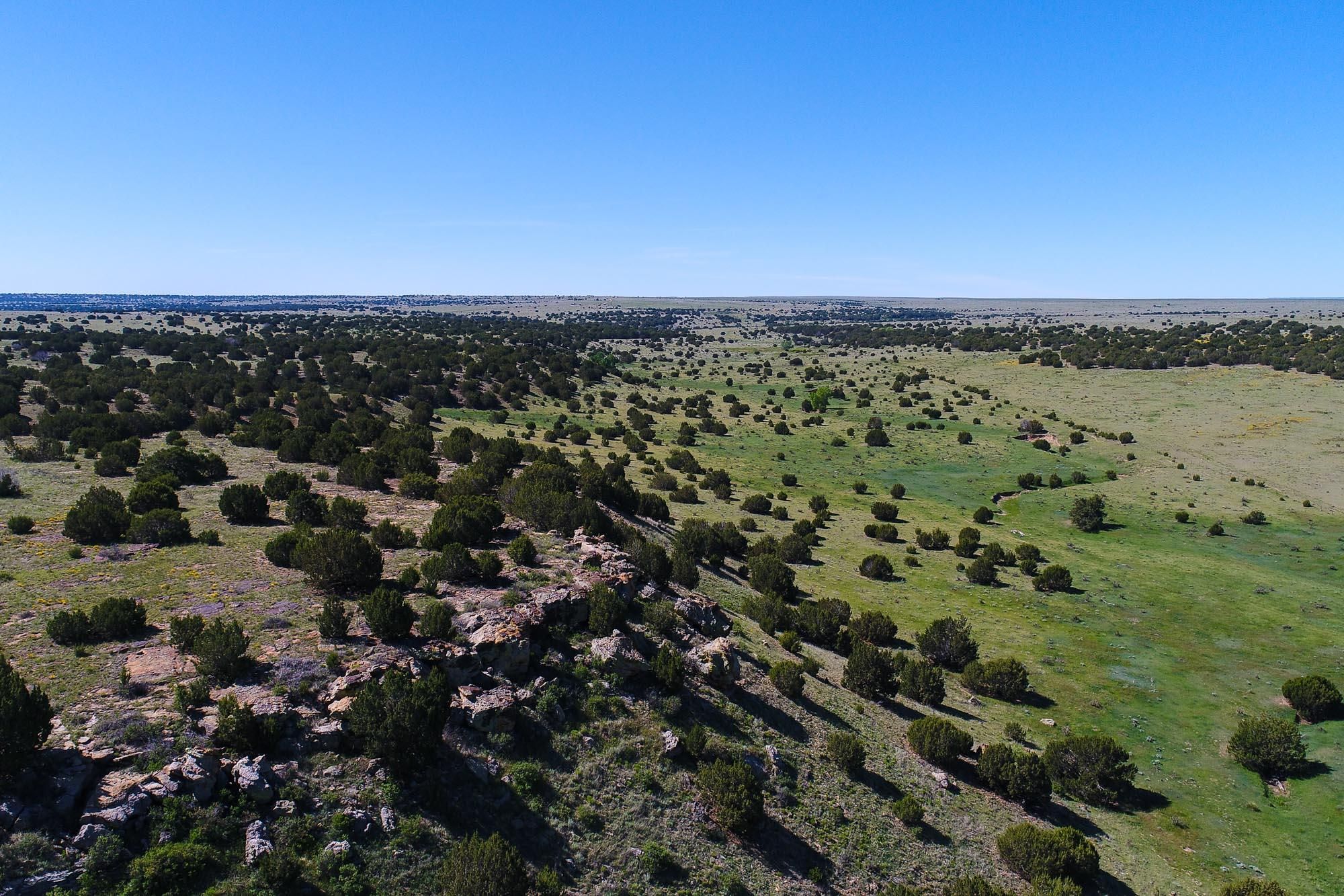 34002 County Road 0, Pritchett, CO 81064 | MLS: 7327314 | Land.com