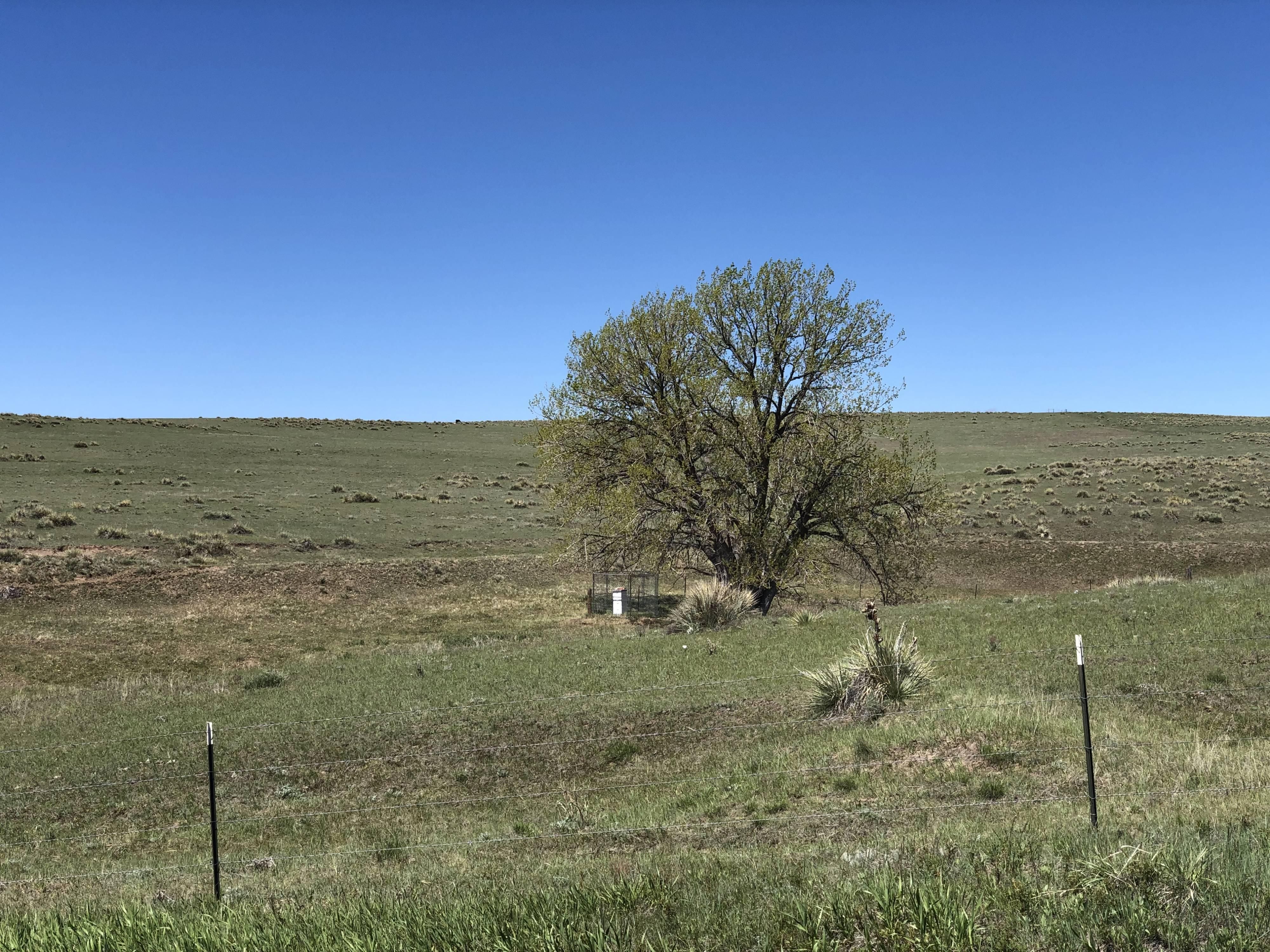 40 acres in Elbert County, Colorado