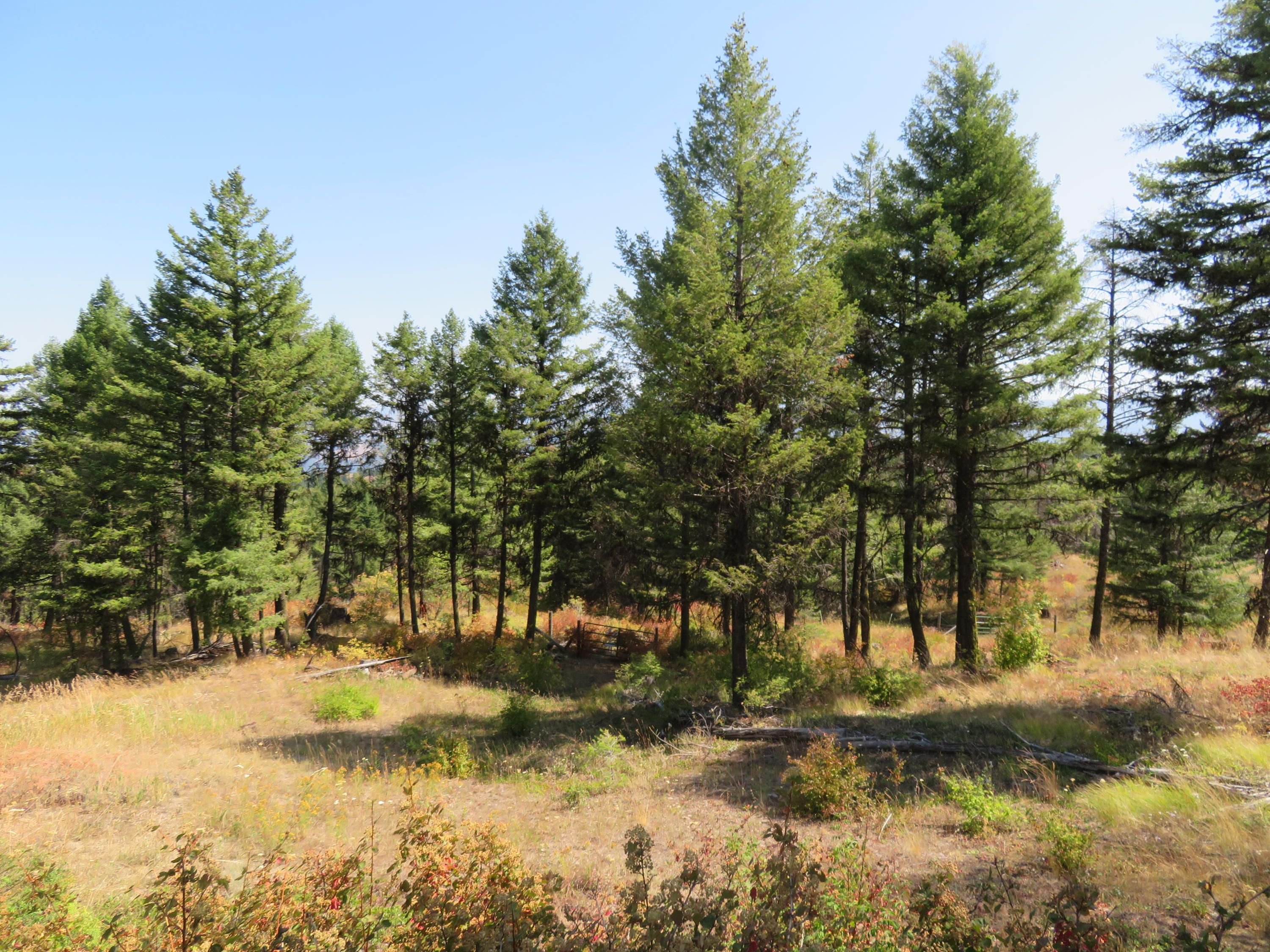 10 acres in Ferry County, Washington