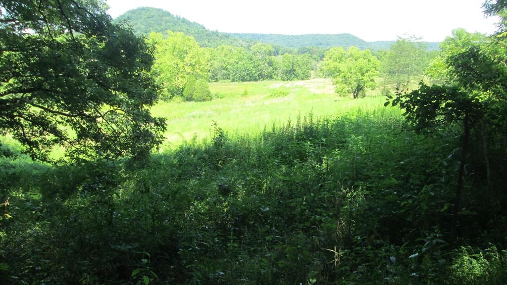 550 acres in Fleming County, Kentucky