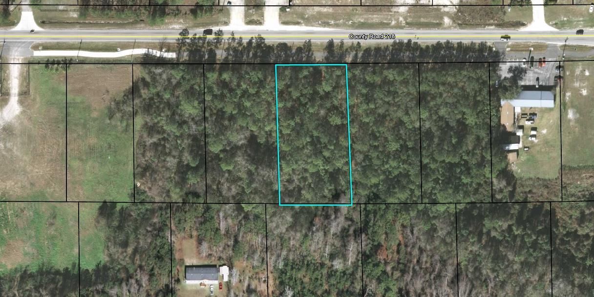 4177 CR 218, Middleburg, FL 32068 | Land.com