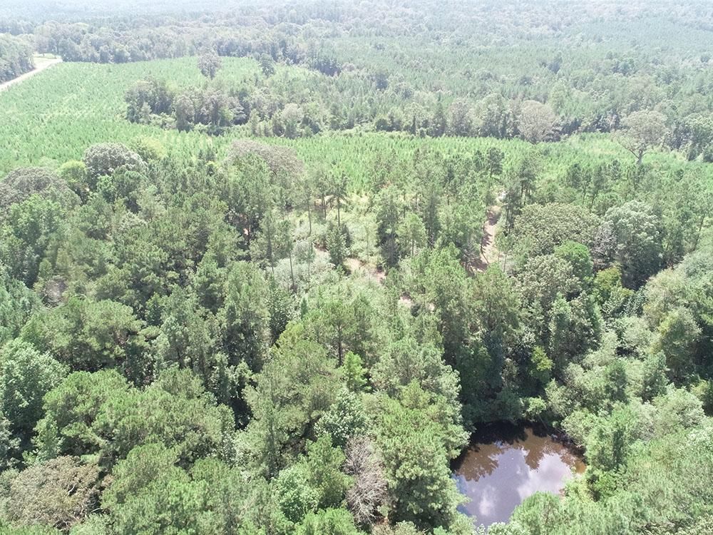 93 acres in Smith County, Mississippi