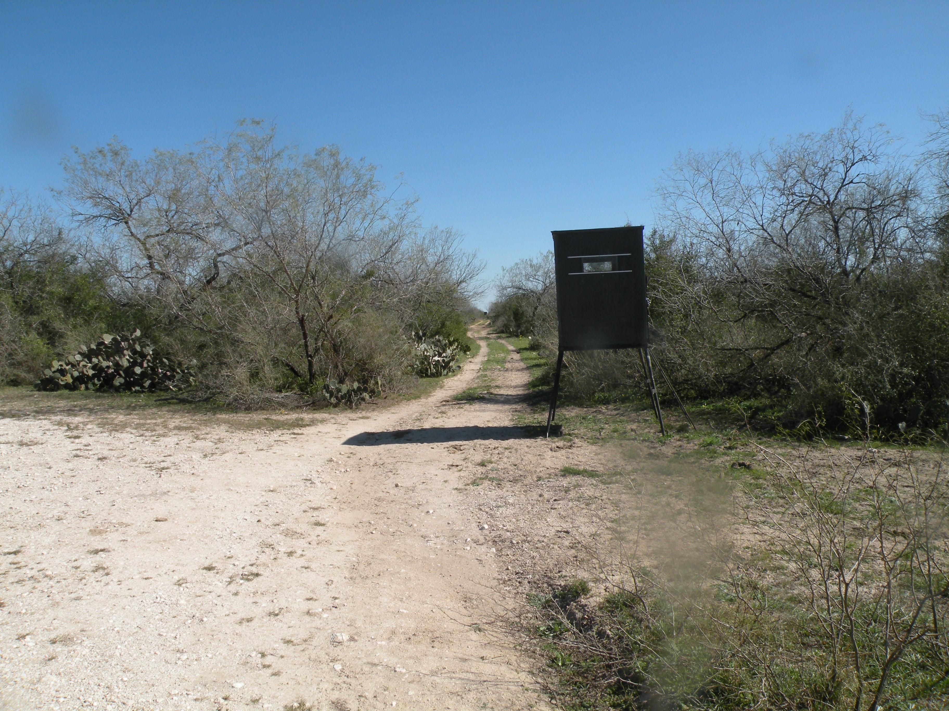 219.53 acres in San Isidro, TX, 78536 | Land.com