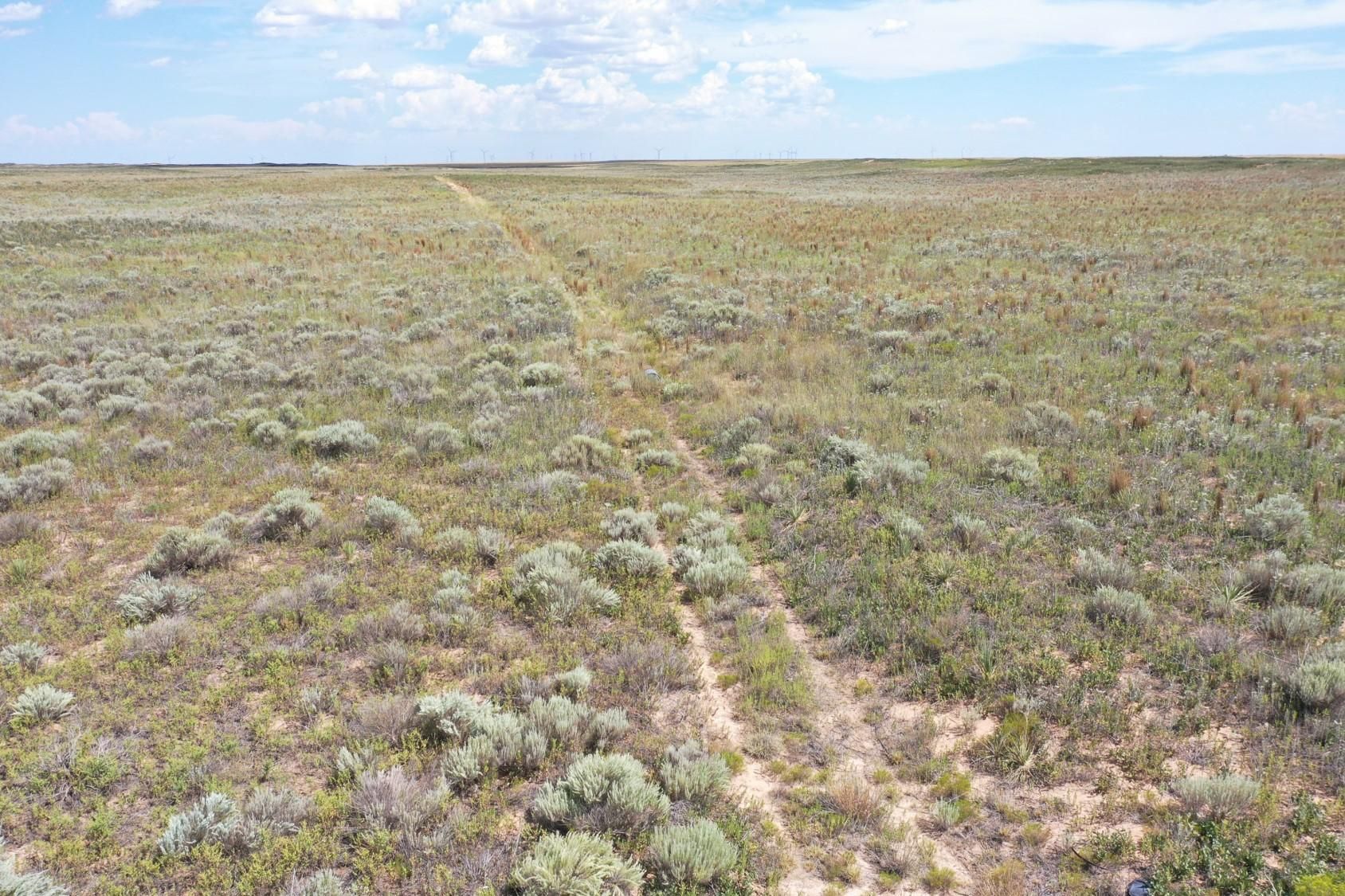 10 acres in Bledsoe, TX, 79314 | Land.com