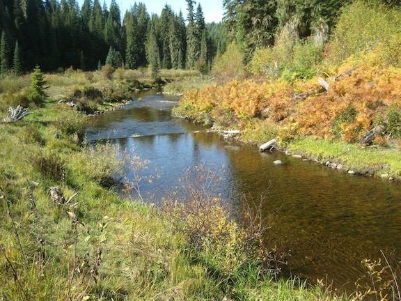 40 acres in Jackson County, Colorado