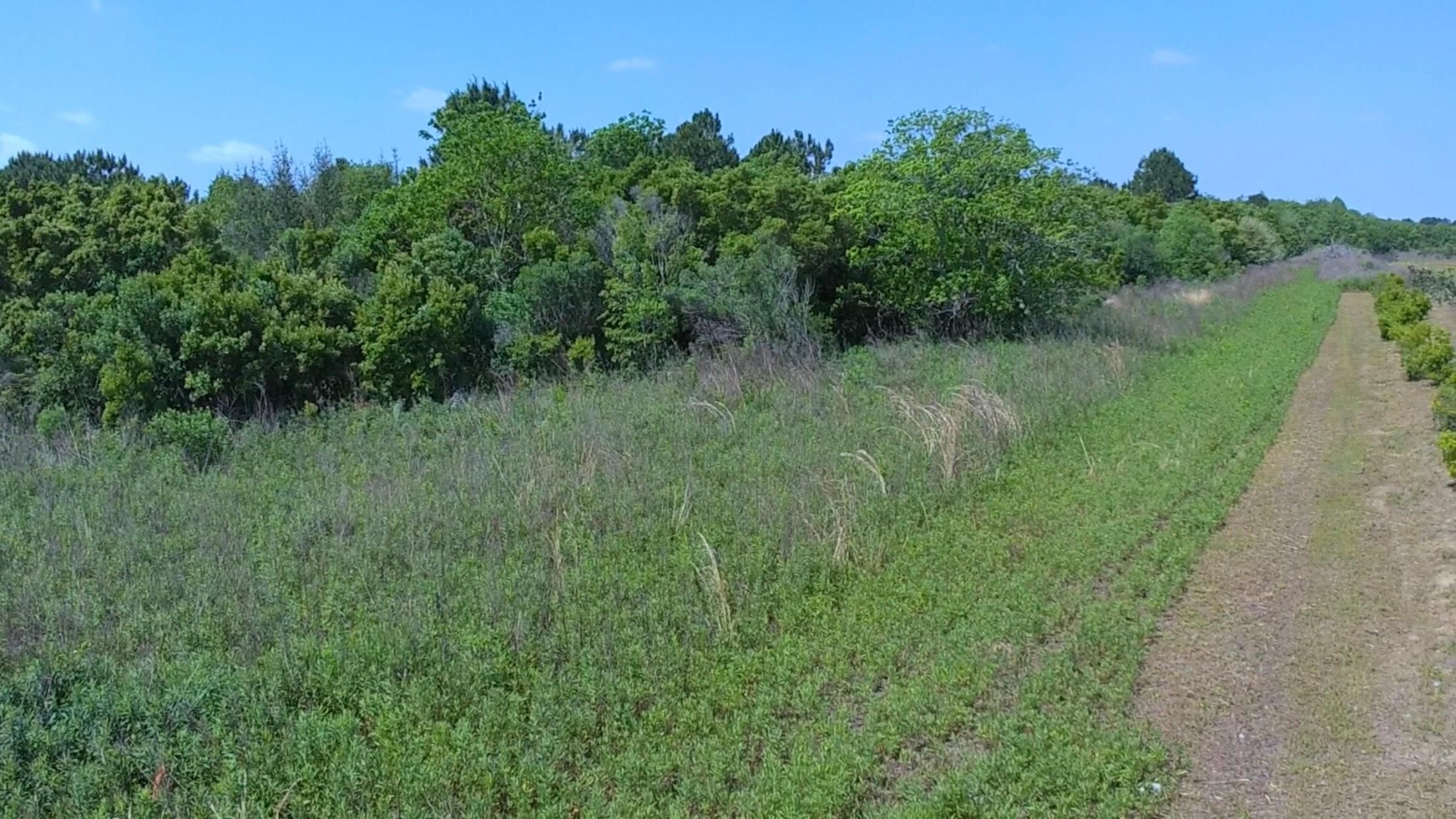 Foley Beach Express, Orange Beach, AL 36535 | Land.com