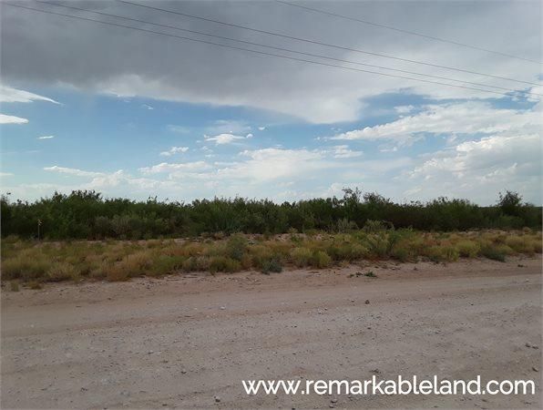 10 acres in Pyote, TX, 79777 | MLS: TX-Ward-703762 | Land.com