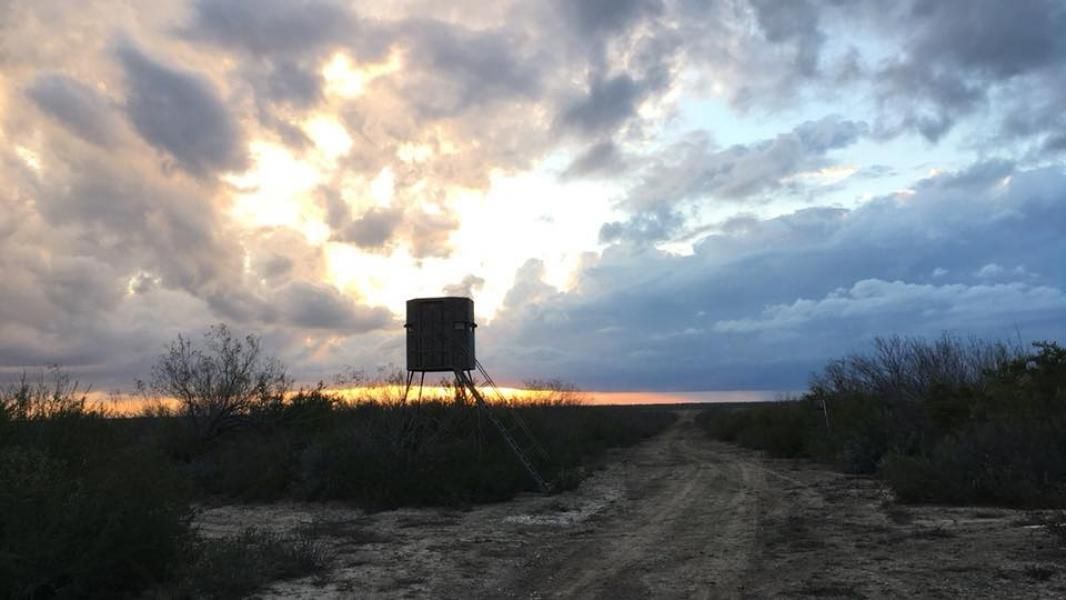 405 Ranch Road 8225B, Encinal, TX 78019 | Land.com