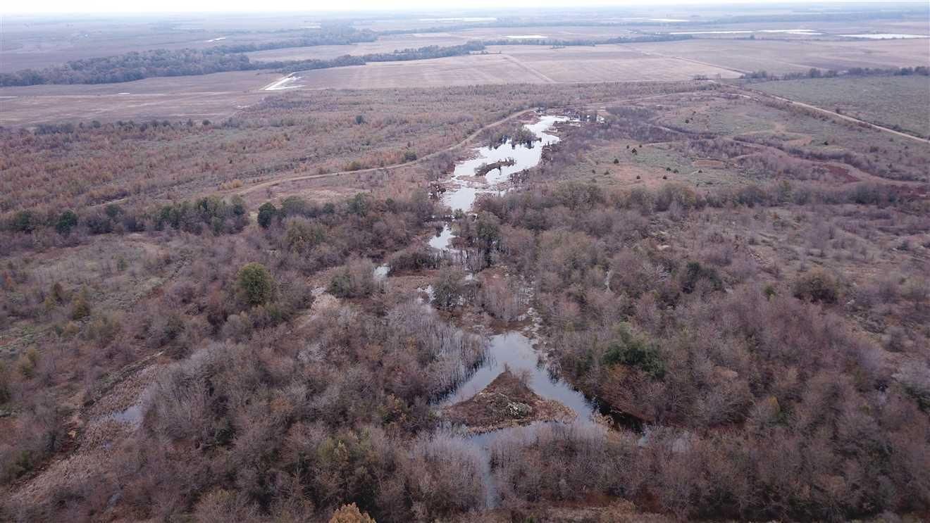 955.87 acres in Chicot County, Arkansas