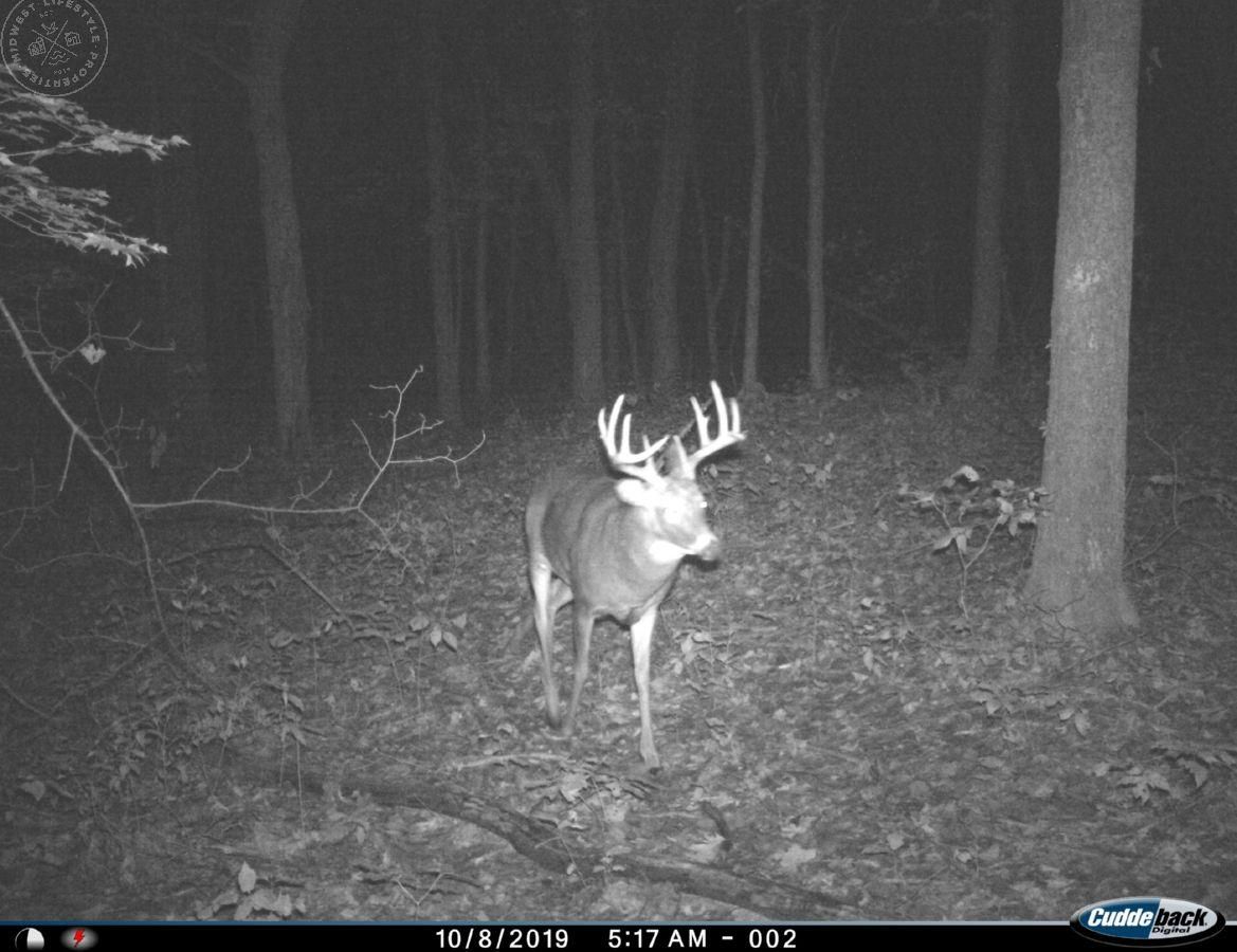 Hogsback Road, Baraboo, WI 53913 | MLS: 1873565 | Land.com