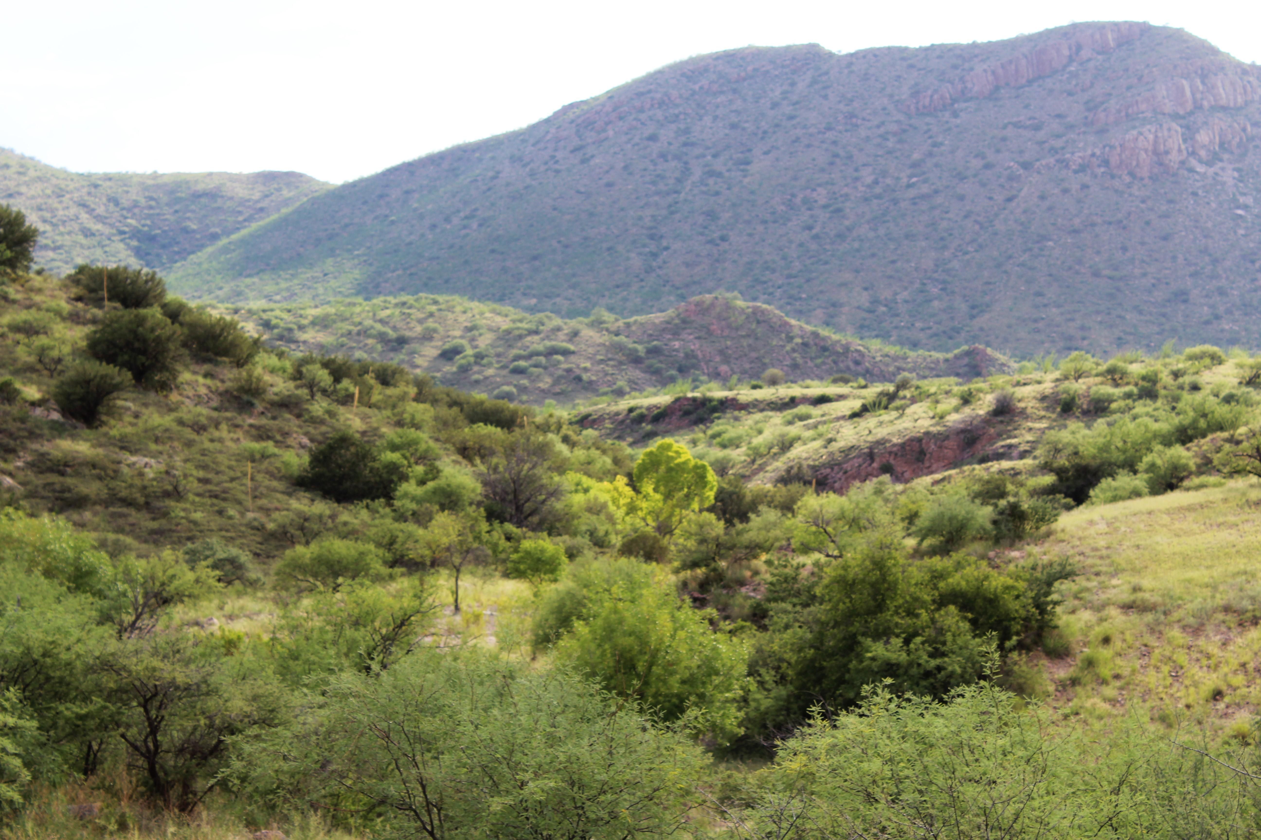 Alamo Canyon Drive, Rio Rico, AZ 85648 | MLS: 22000715 | Land.com