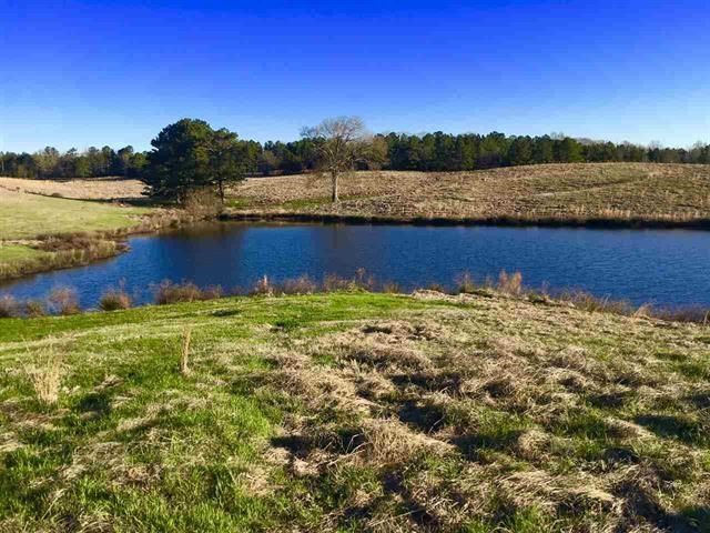 109 acres in Holmes County, Mississippi