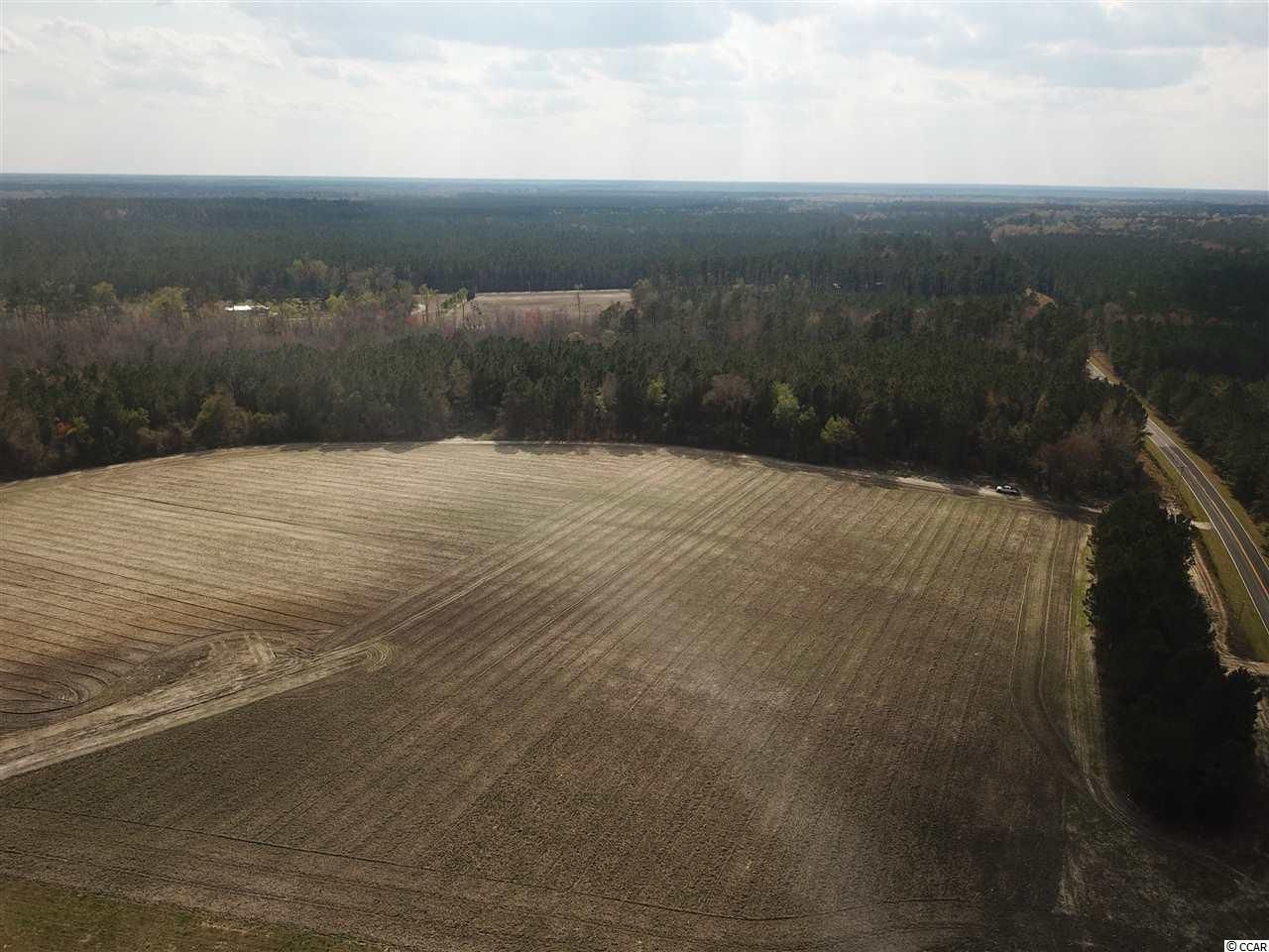 50 acres in Horry County, South Carolina