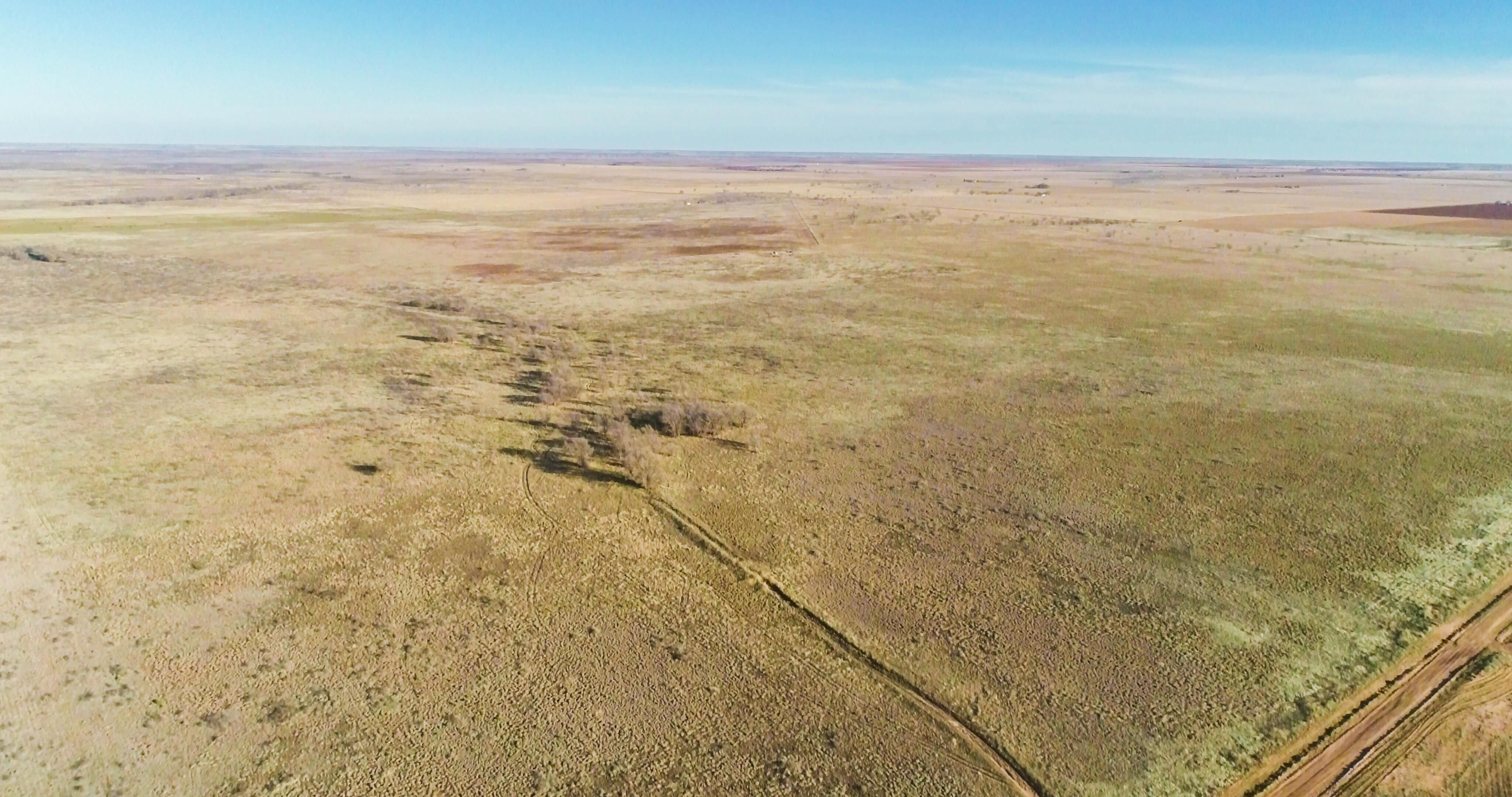 190 acres in Lamb County, Texas