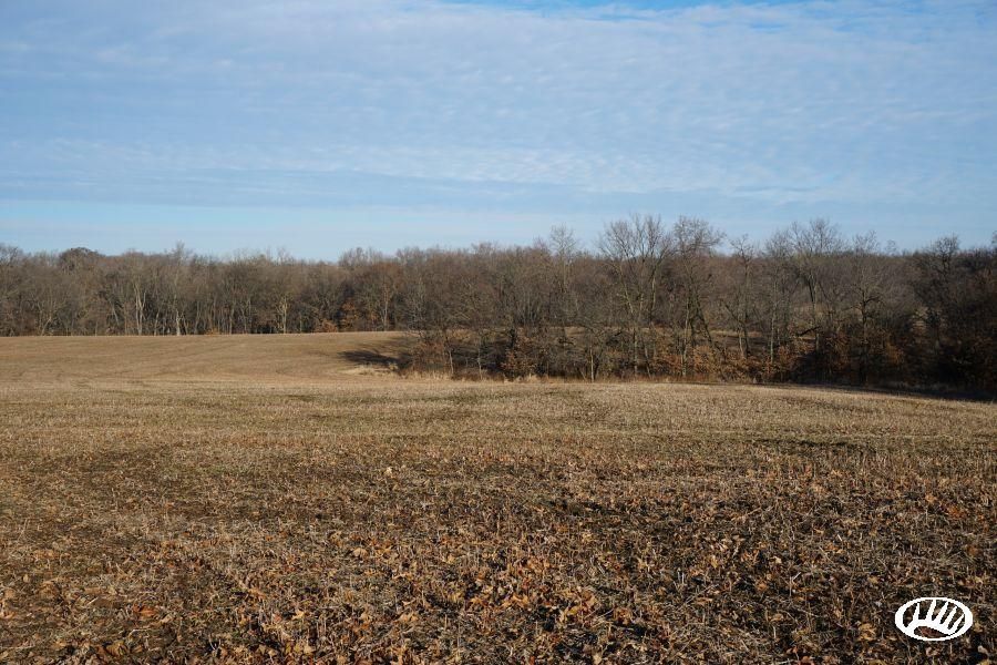 125 acres in Appanoose County, Iowa