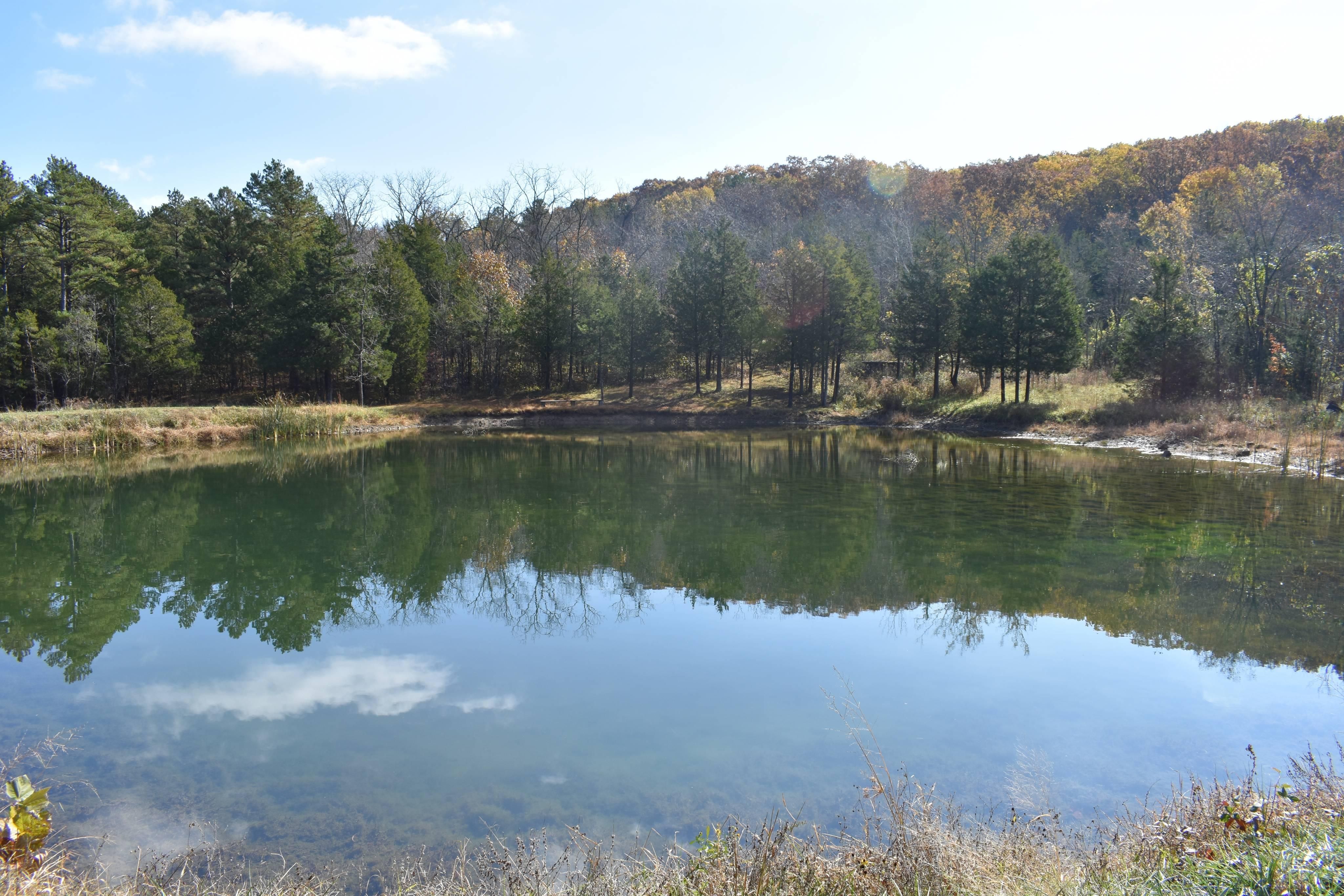 77 acres in Iron County, Missouri