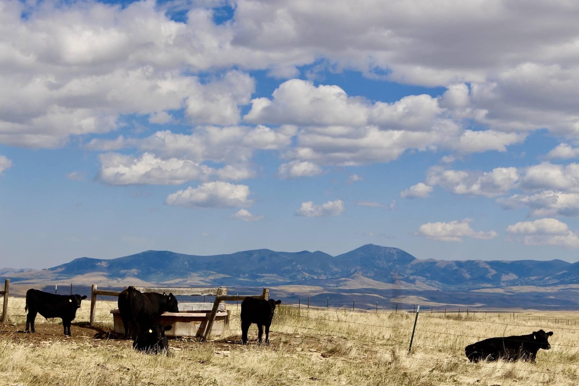 1,274 acres in Cascade County, Montana