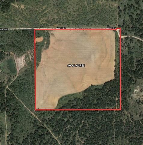 40 acres in Young County, Texas
