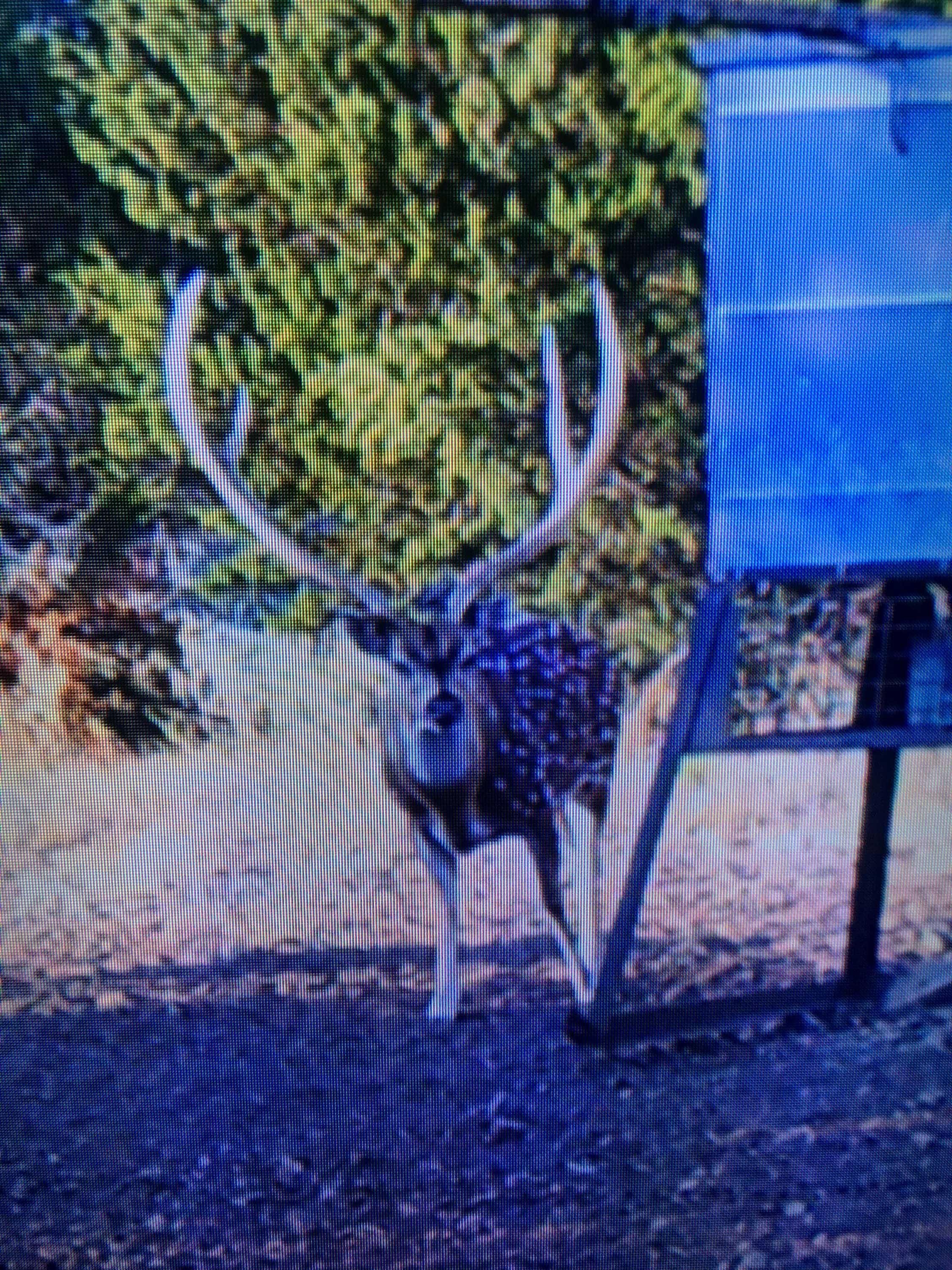 1900 Stapp Ranch Road, Harper, TX 78631 | Land.com