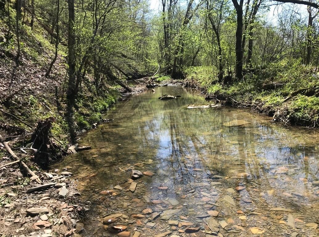 17.5 Acres Off Hwy 160, Bybee, TN 37713 | MLS: 41095-03729 | Land.com