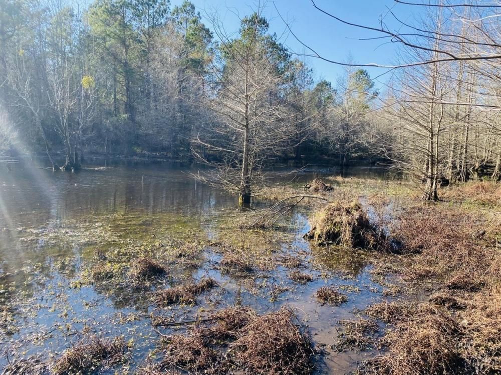 o Lewis Coombs Rd., Trenton, NC 28552 | Land.com