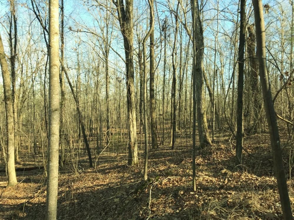 Martin Road Spur, Northport, AL 35473 | Land.com