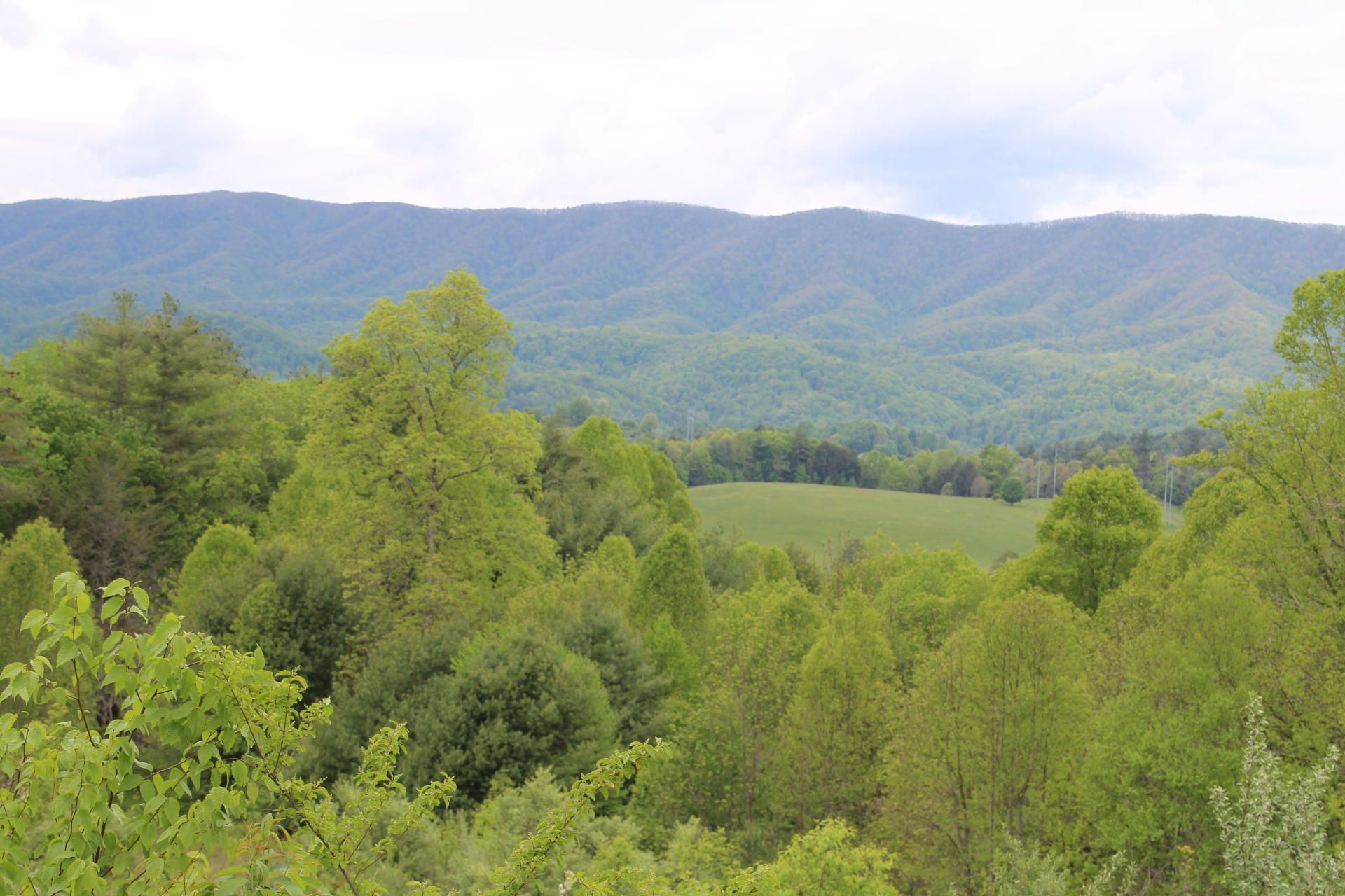 50 acres in Johnson County, Tennessee