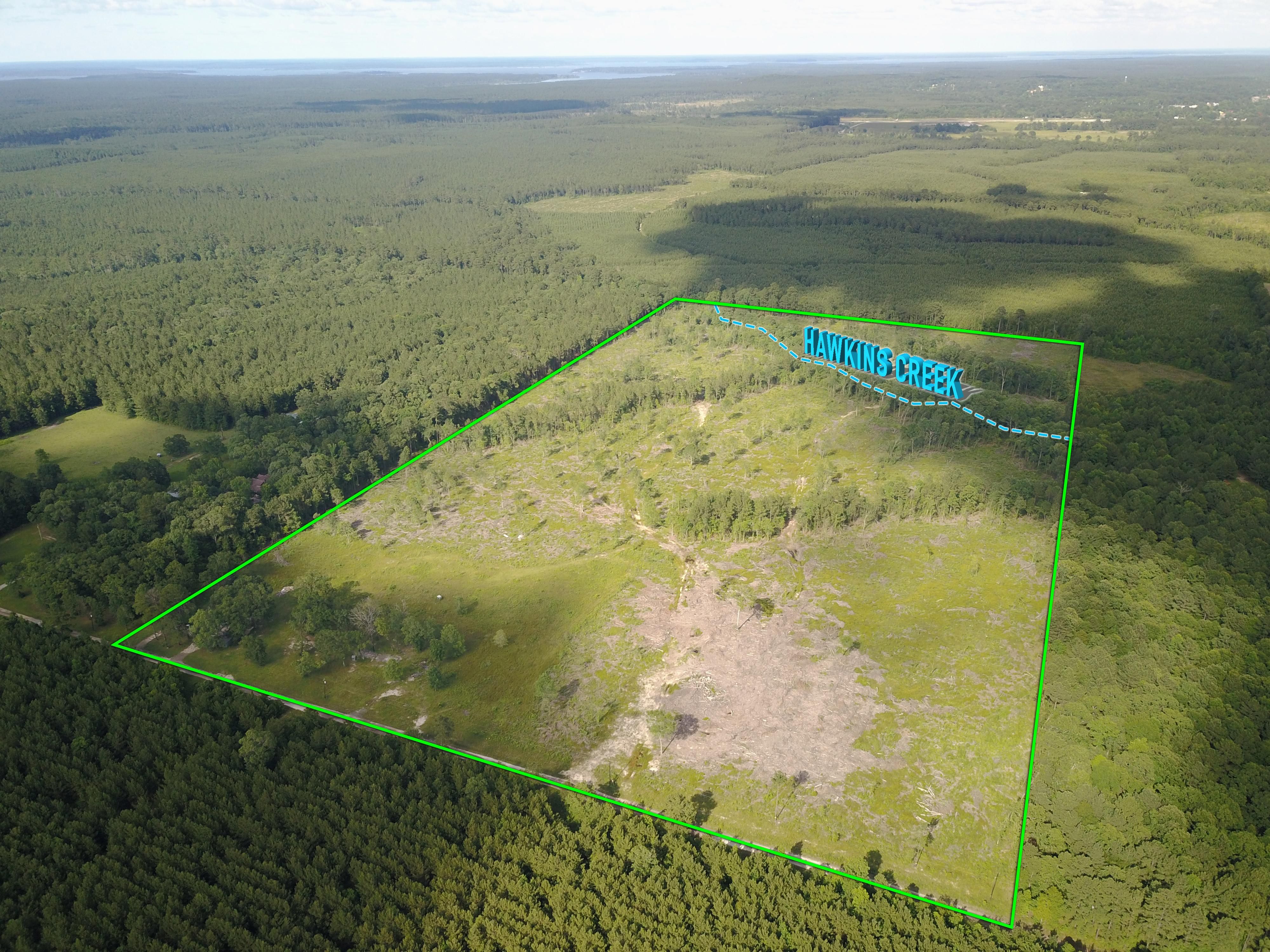 Barfield Rd, Zavalla, TX 75980 | Land.com