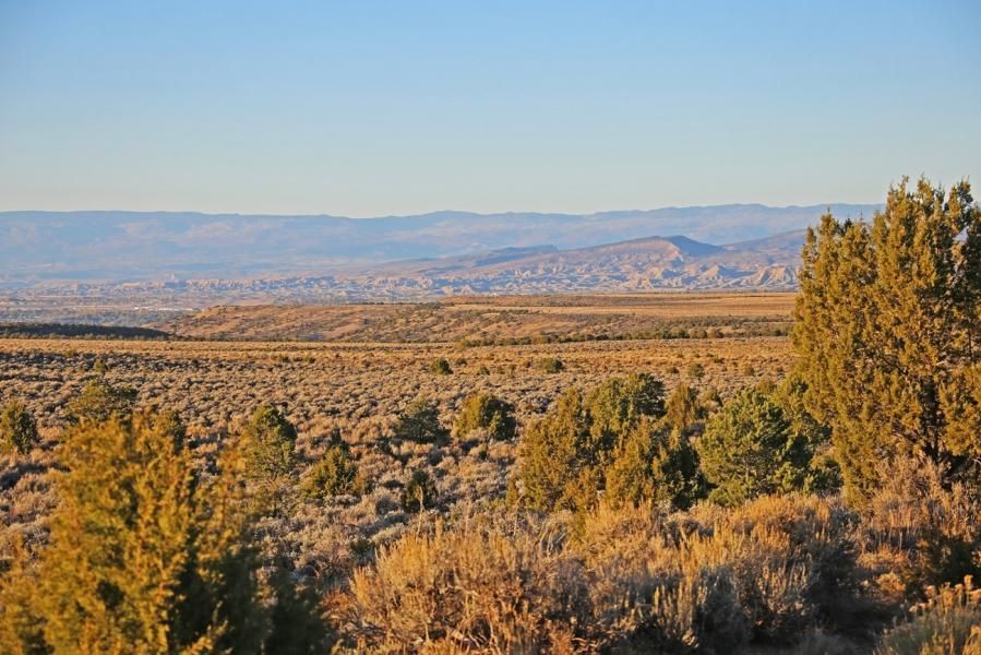 360 acres in Montrose County, Colorado