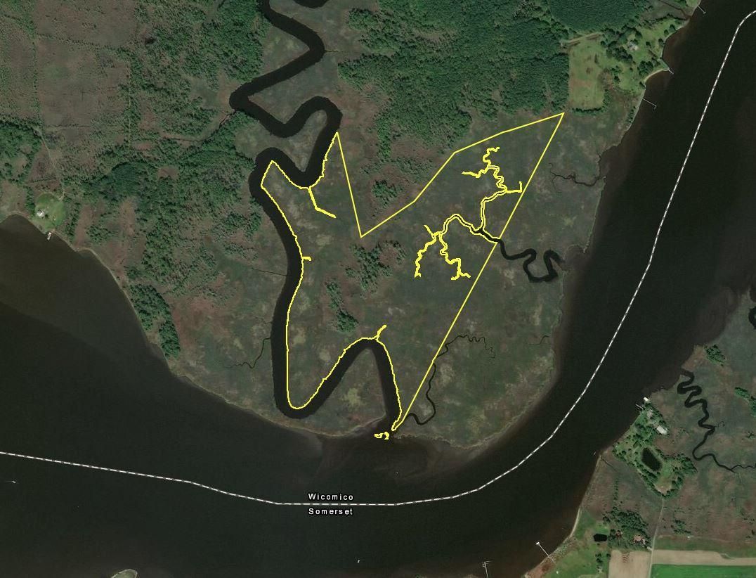 Mezick Road, Tyaskin, MD 21865 | Land.com