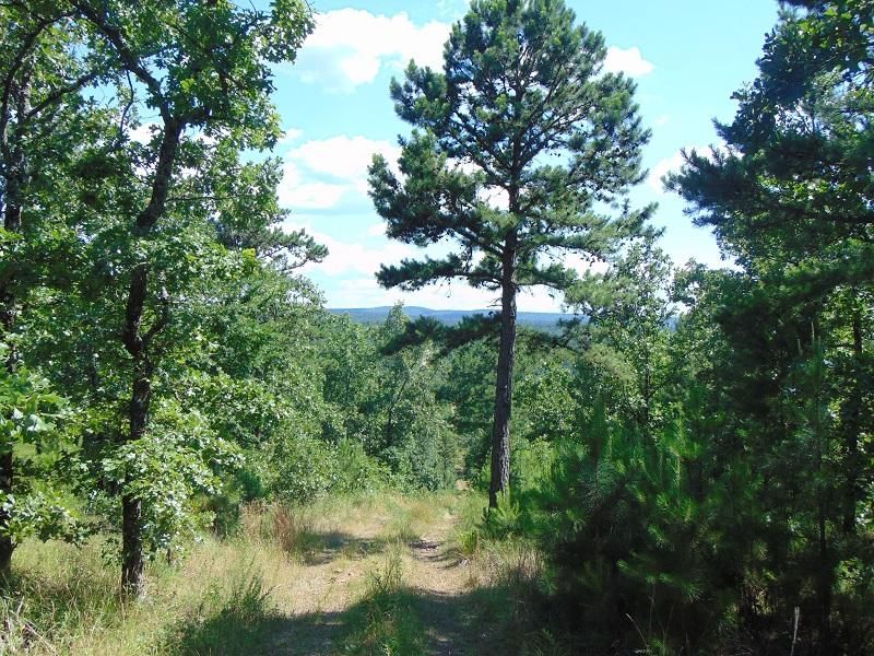 South Booth Avenue, Leflore, OK 74942 | Land.com