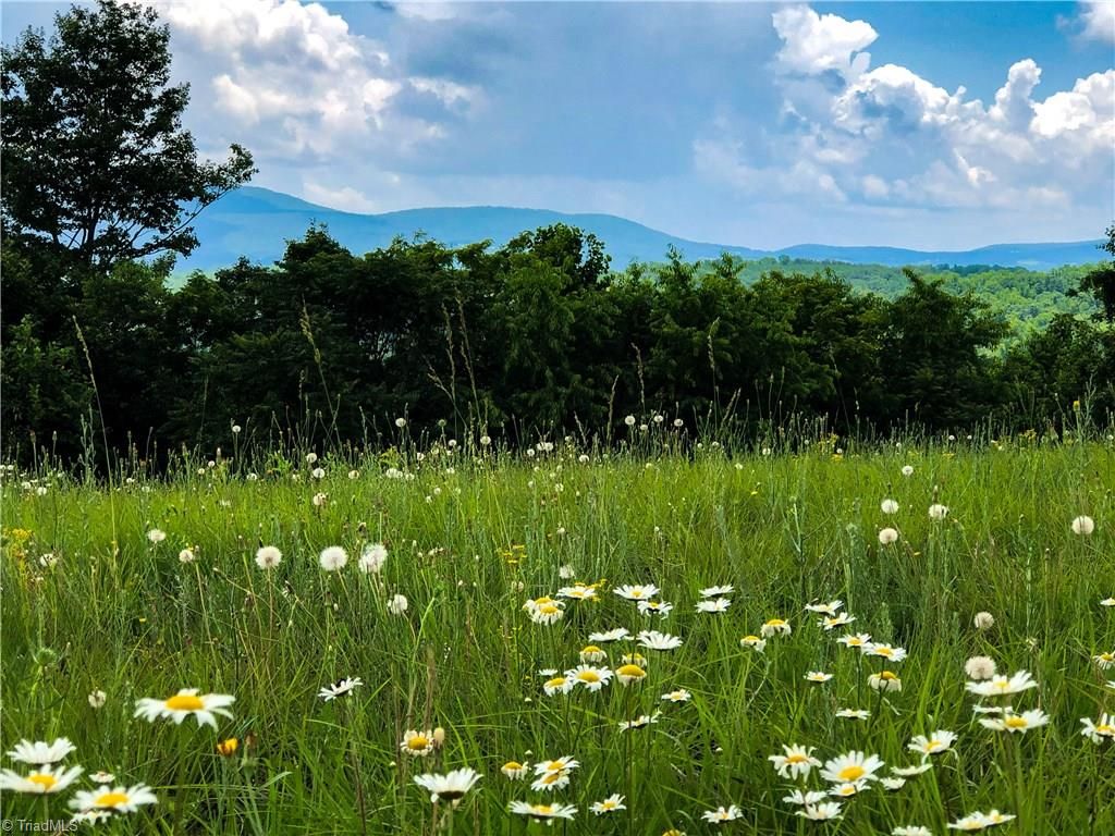 57 acres in Stokes County, North Carolina