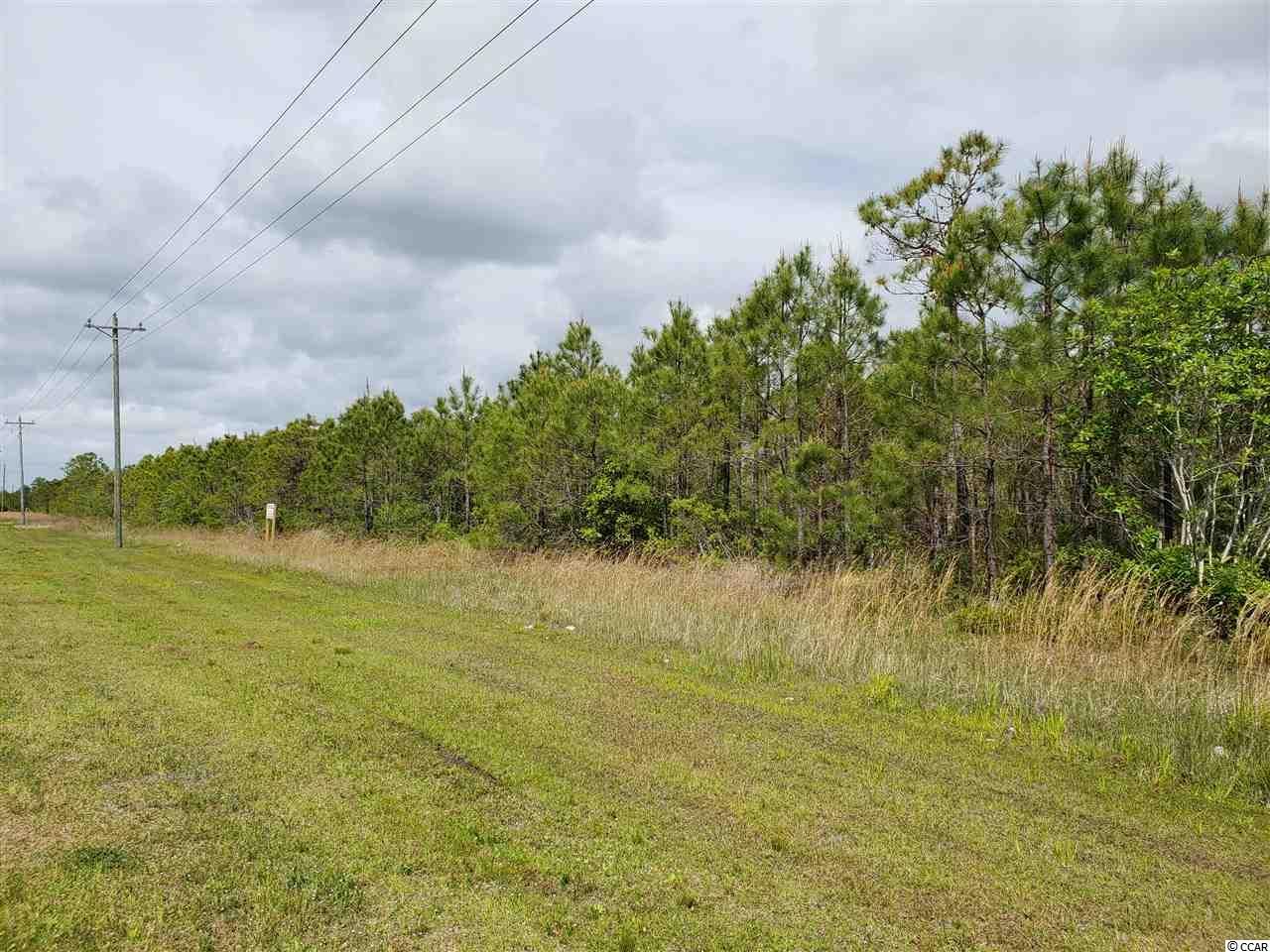 12.25 acres in Horry County, South Carolina