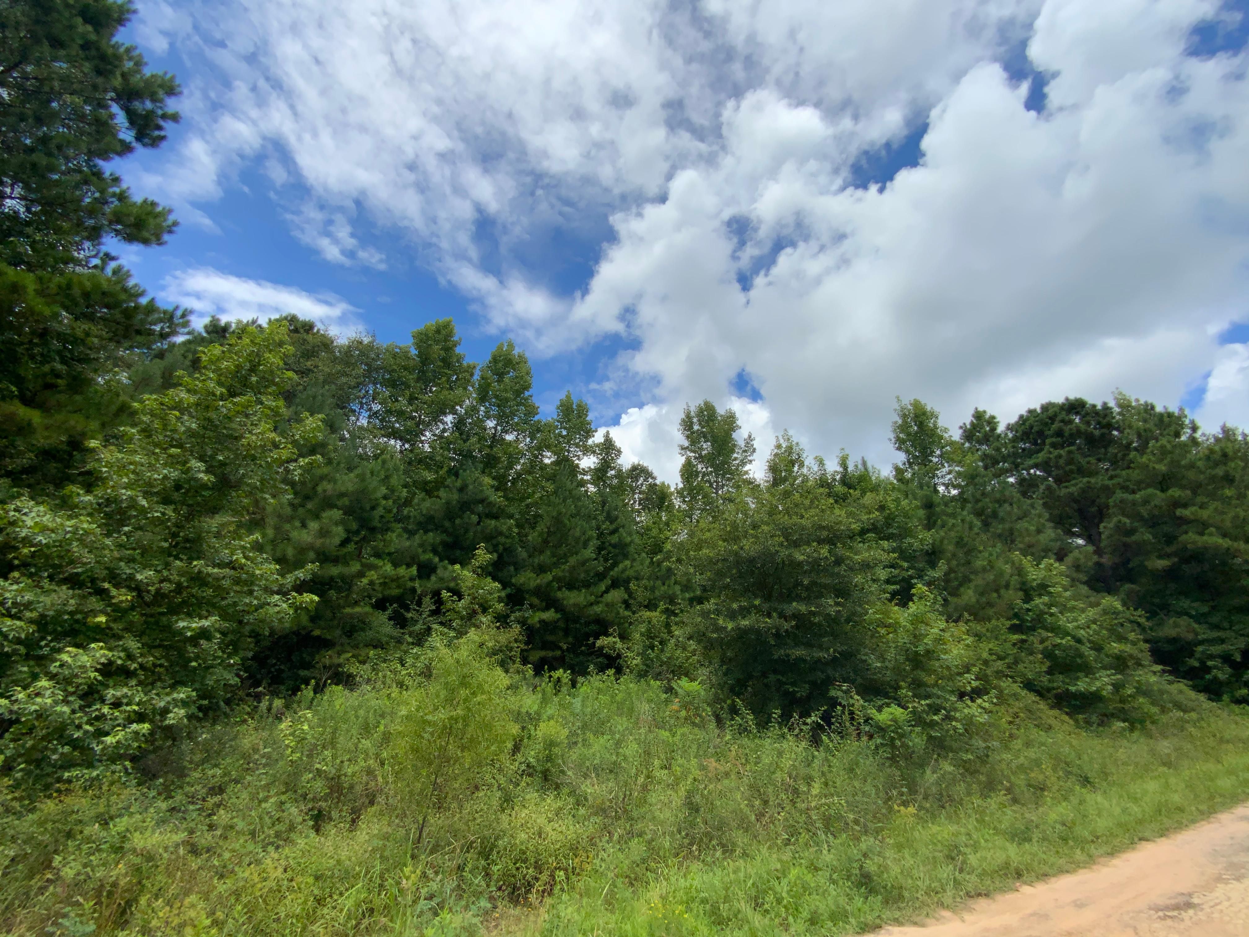 5.01 acres in Karnack, TX, 75661 | Land.com