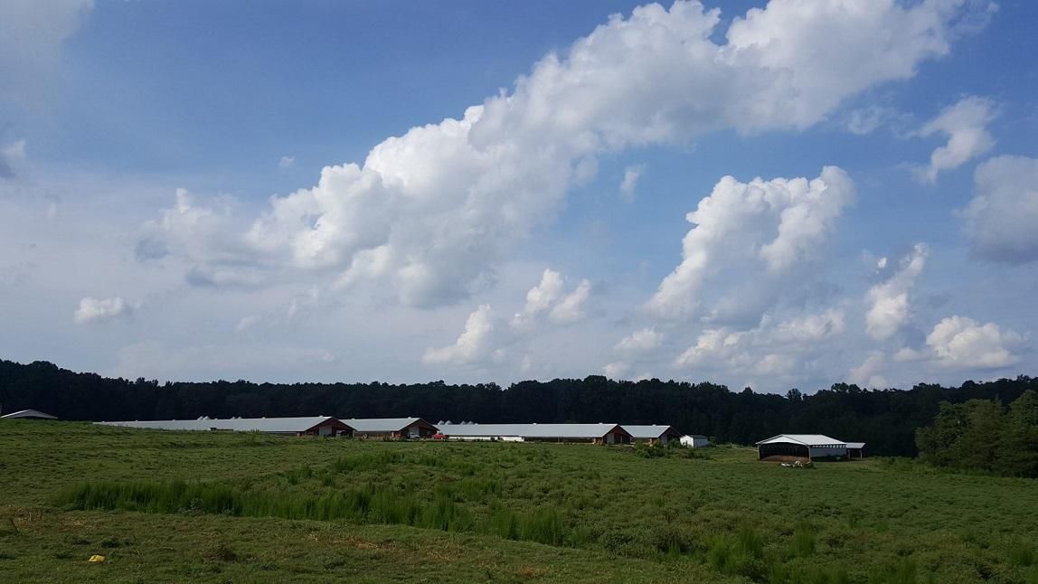 21 acres in Abbeville County, South Carolina 21 acres in Abbeville County, South Carolina