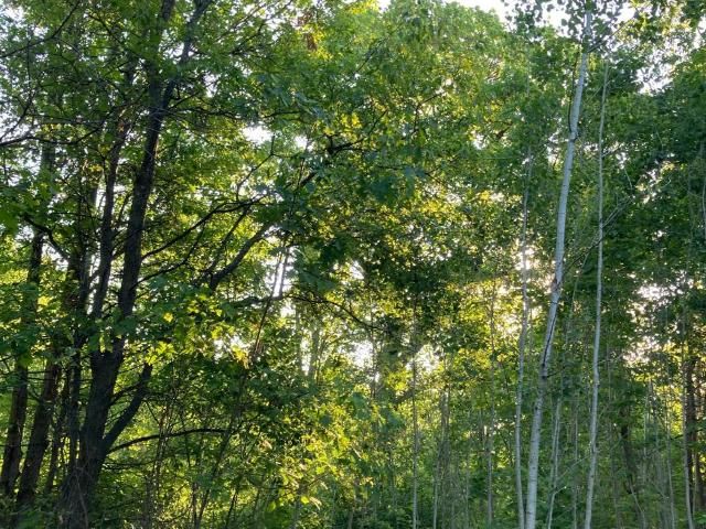 2,600 acres in Forest County, Wisconsin
