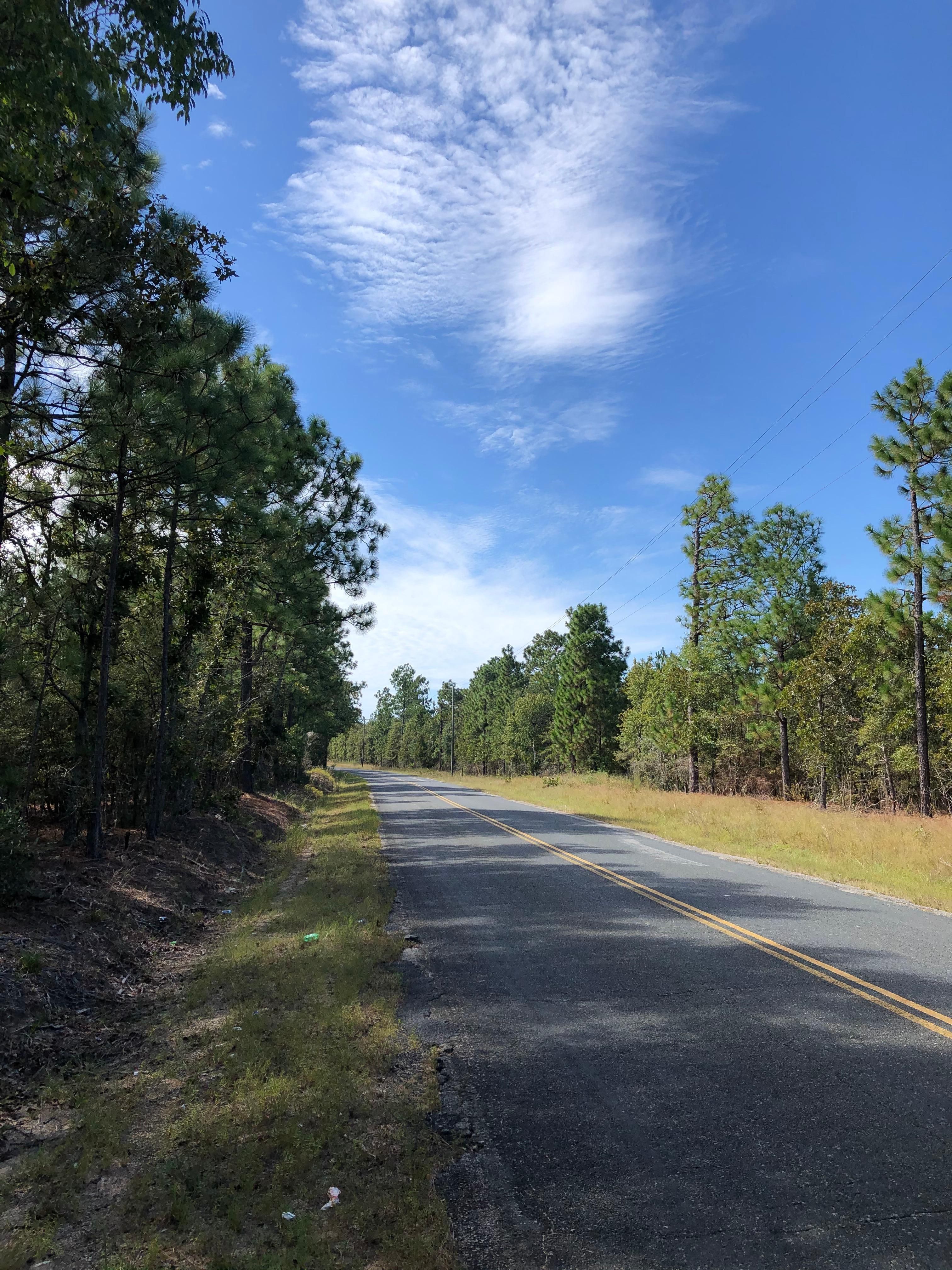 Hartley Quarter Rd, Pelion, SC 29123 | Land.com