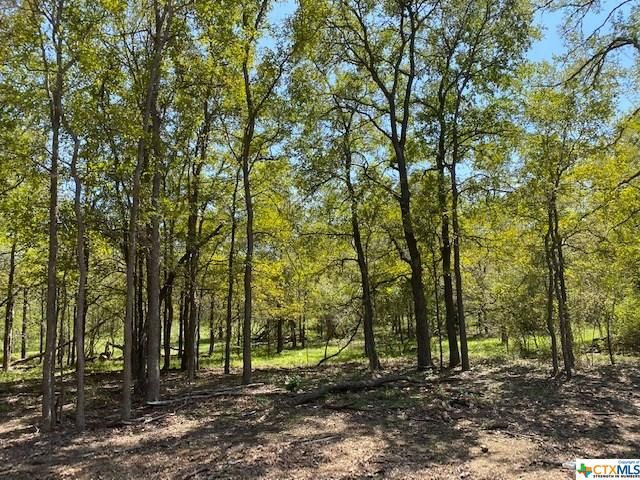 Acreage - Prairie Lea, TX