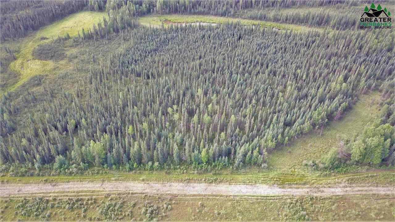 40 acres in Fairbanks North Star Borough, Alaska