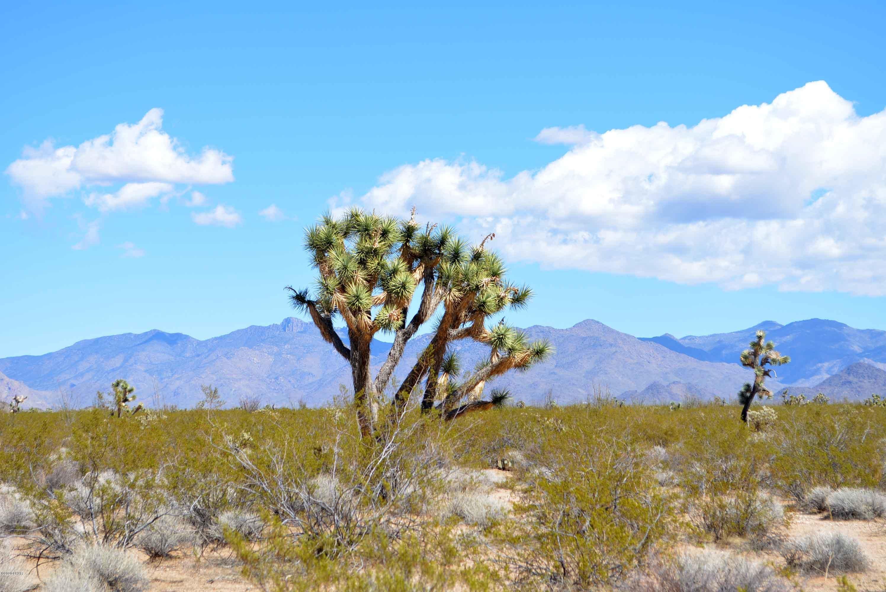 38.24 acres in Mohave County, Arizona