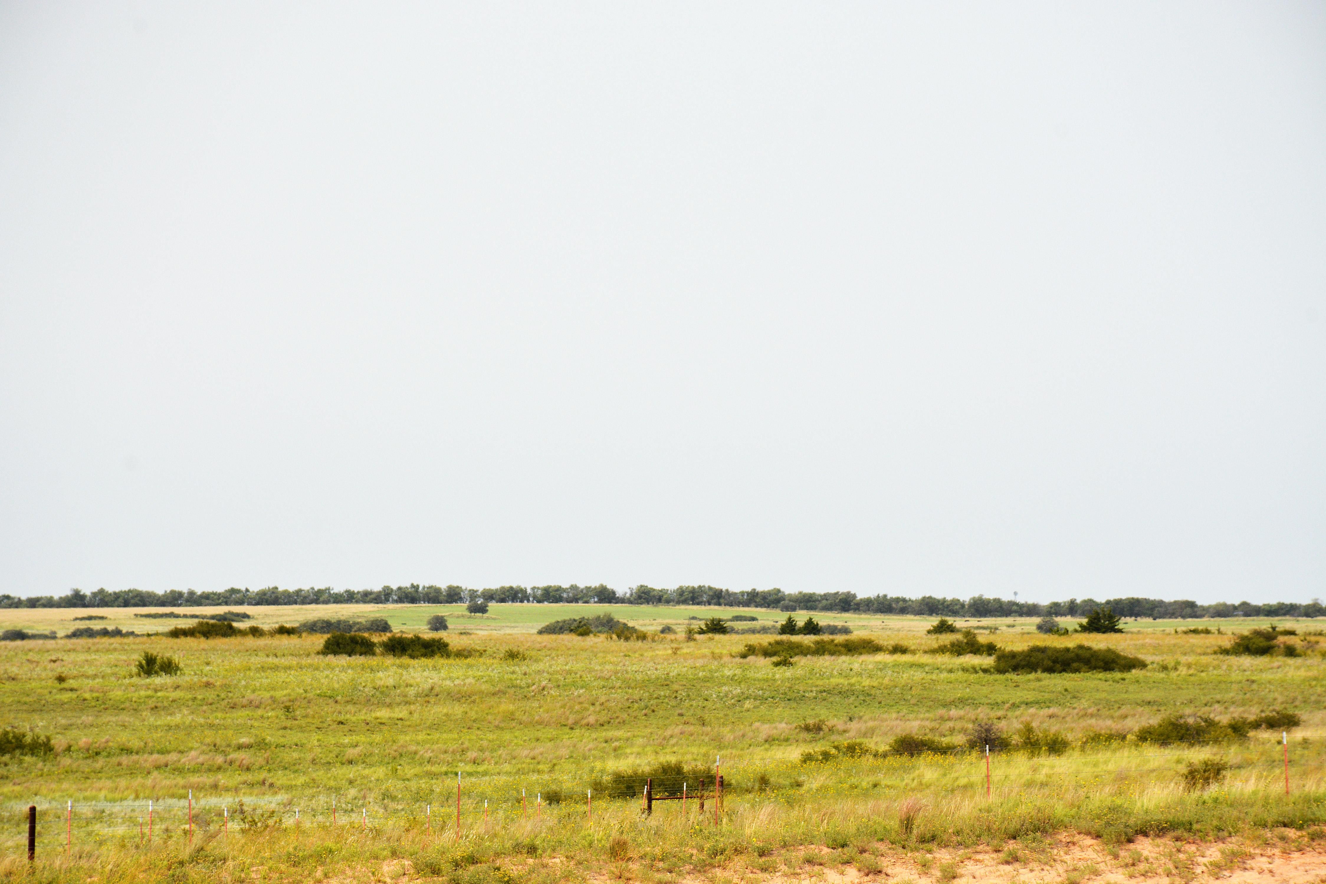 80.3 acres in Wheeler County, Texas