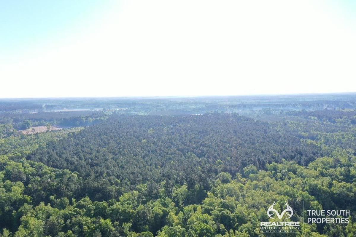 301 Priester Rd, Ruffin, SC 29475 | Land.com