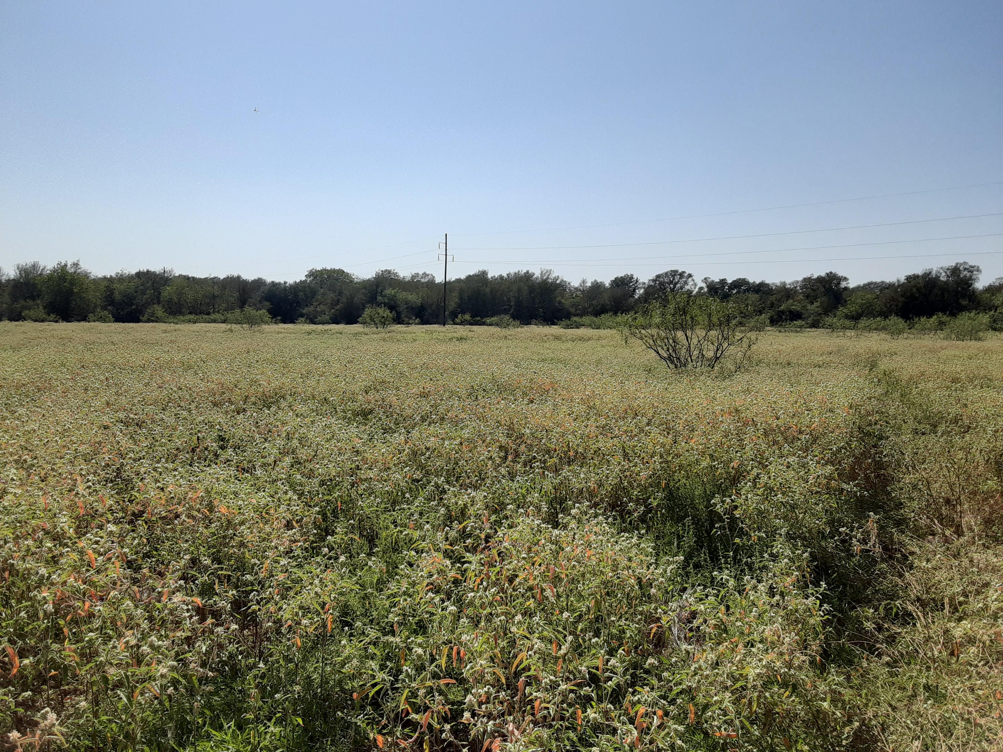 12 acres in Falls County, Texas