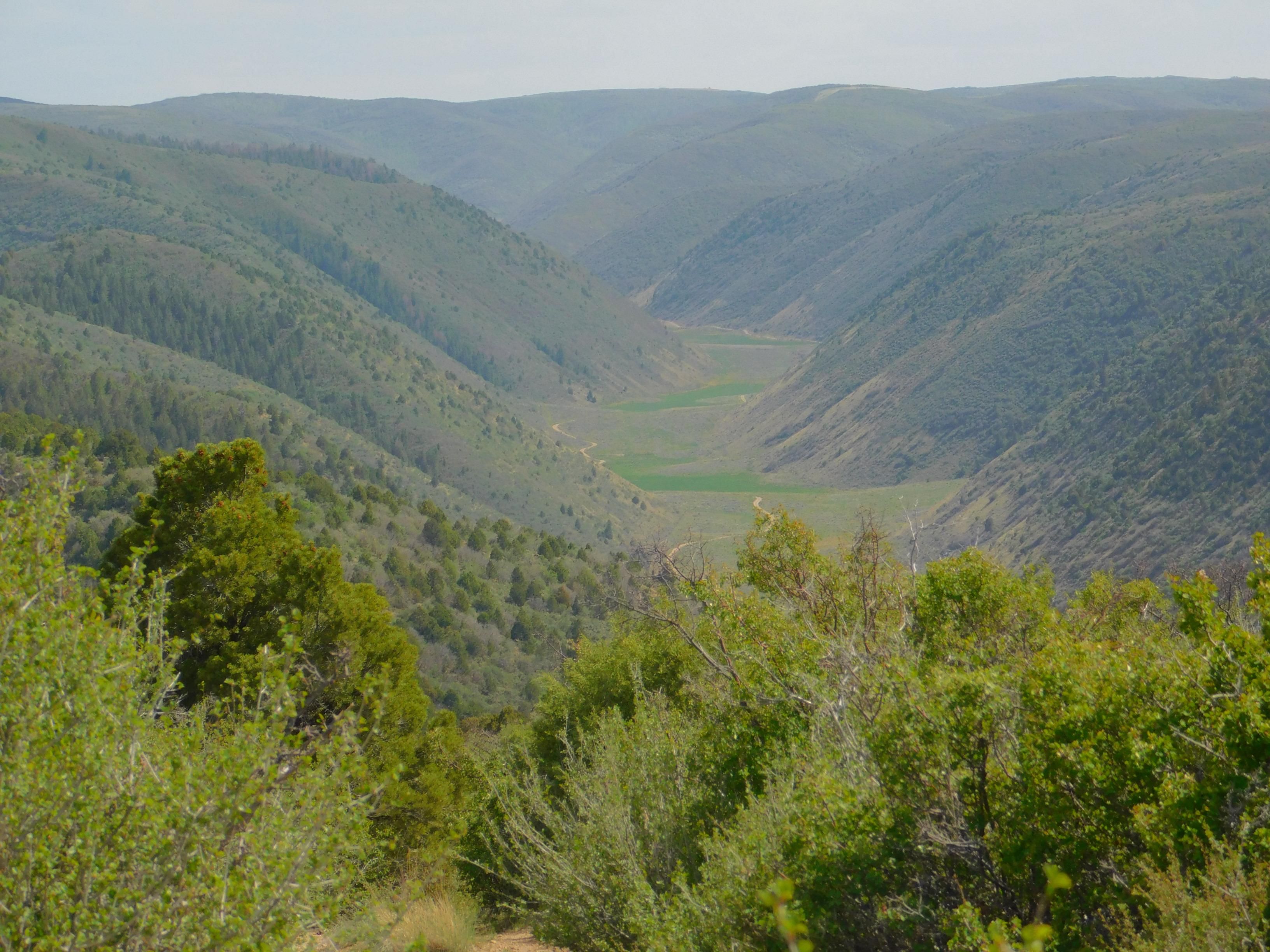 11539 County Road 5, Rifle, CO 81650 | MLS: 20191007 | Land.com